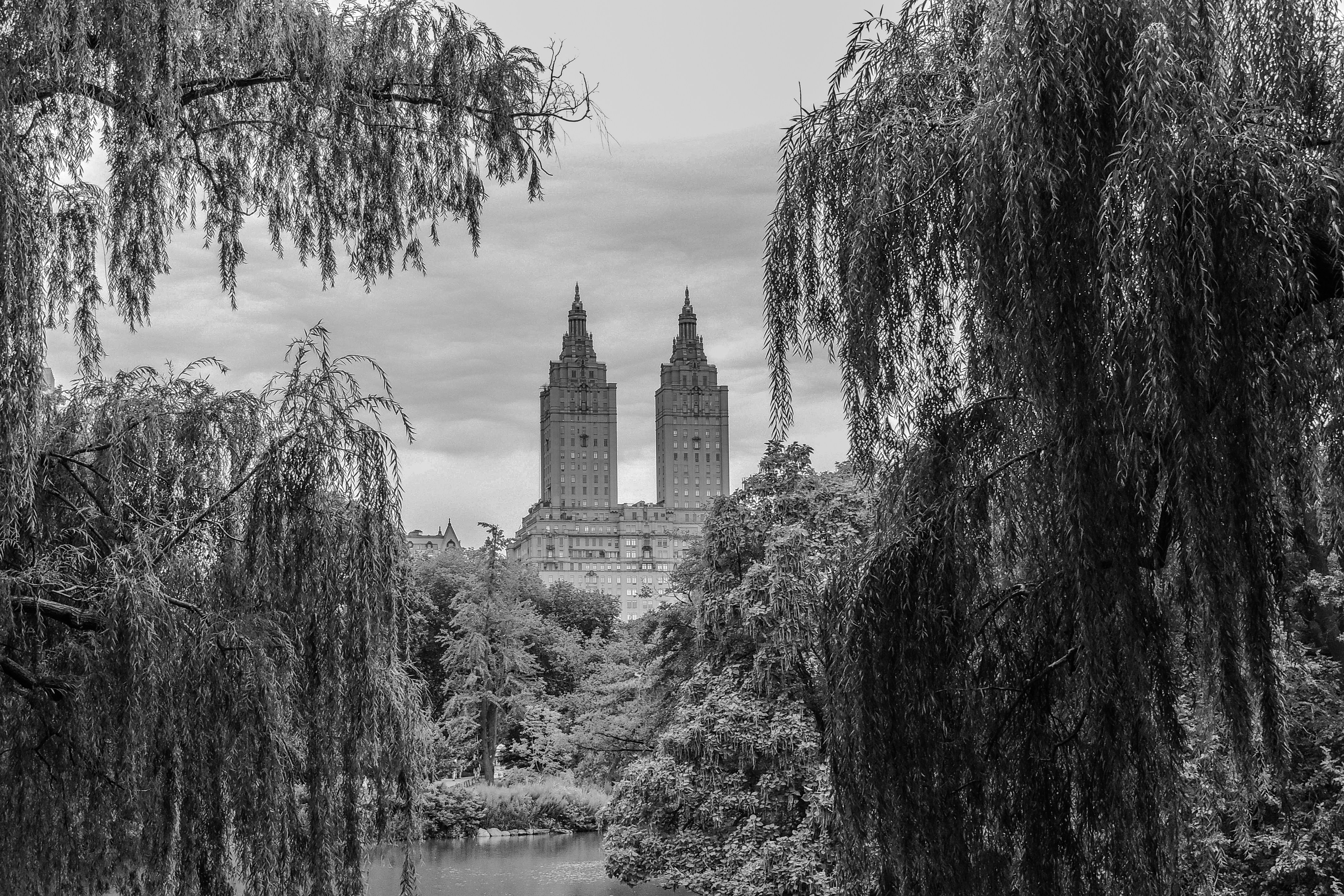Grayscale photography of castle surrounded with trees photo – Free Grey ...