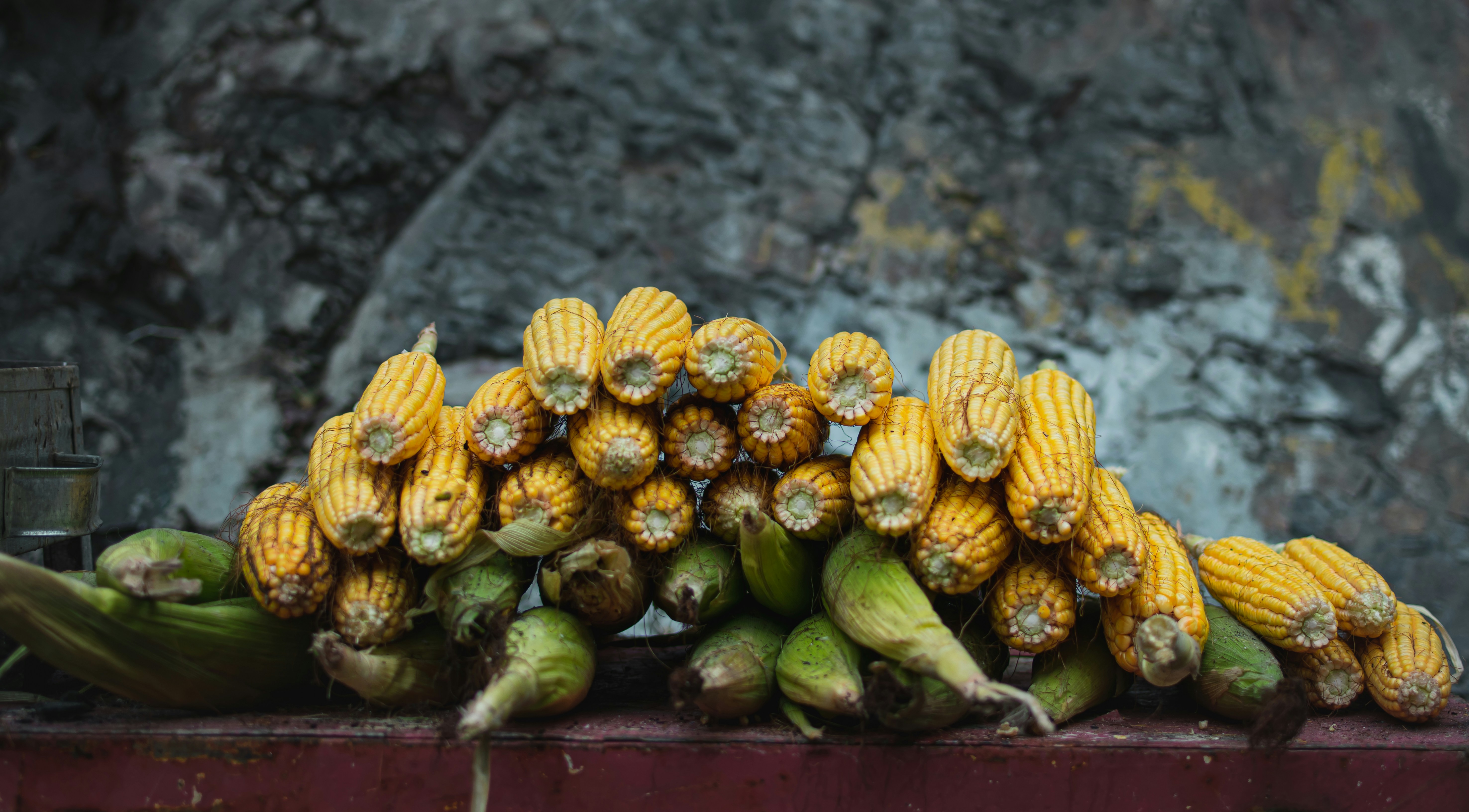 A vibrant display of harvested corn, showcasing both yellow cobs and green husks, arranged artfully on a rustic surface.