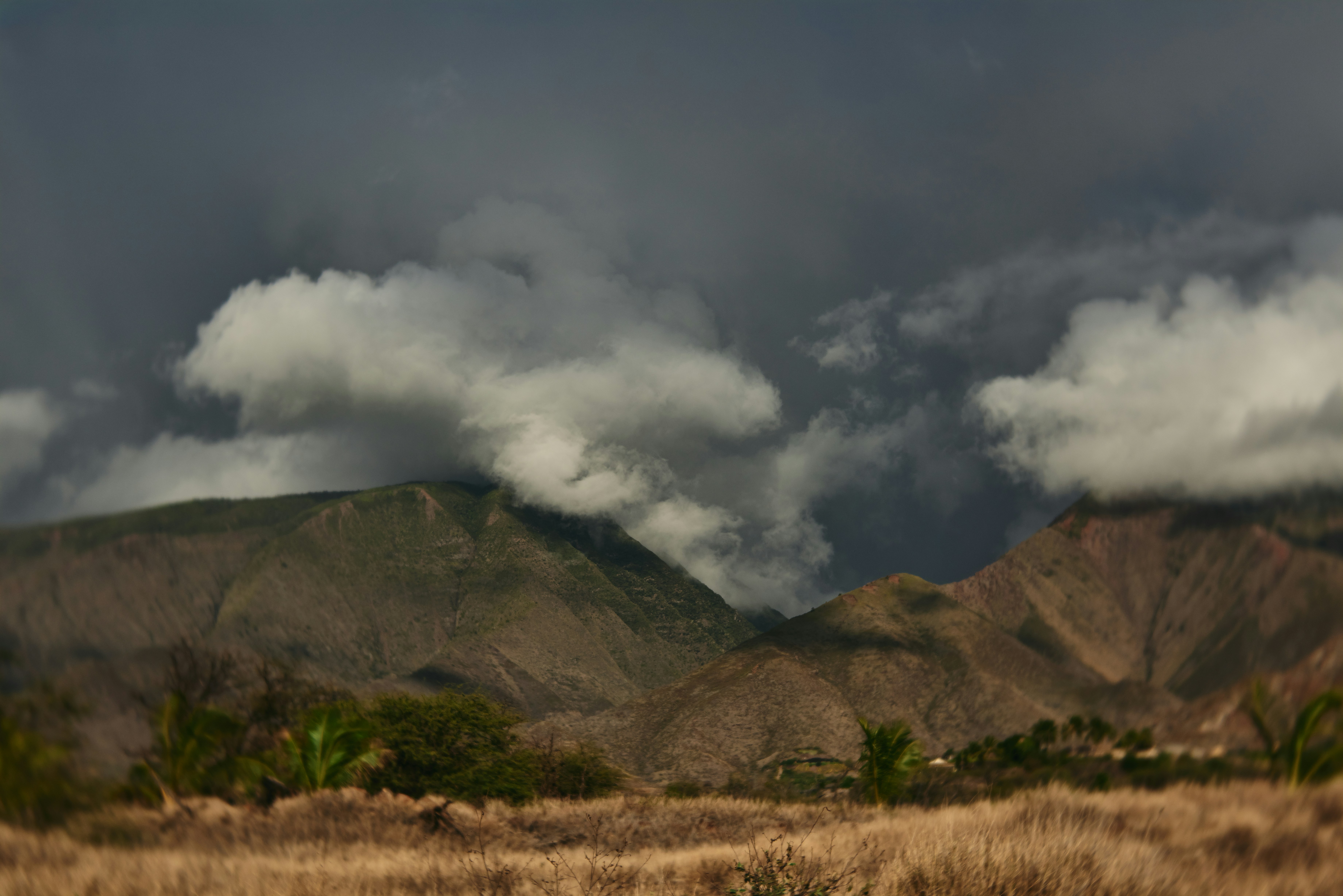 Storm-tinged Ridge Over a Gold-Dusted Savanna