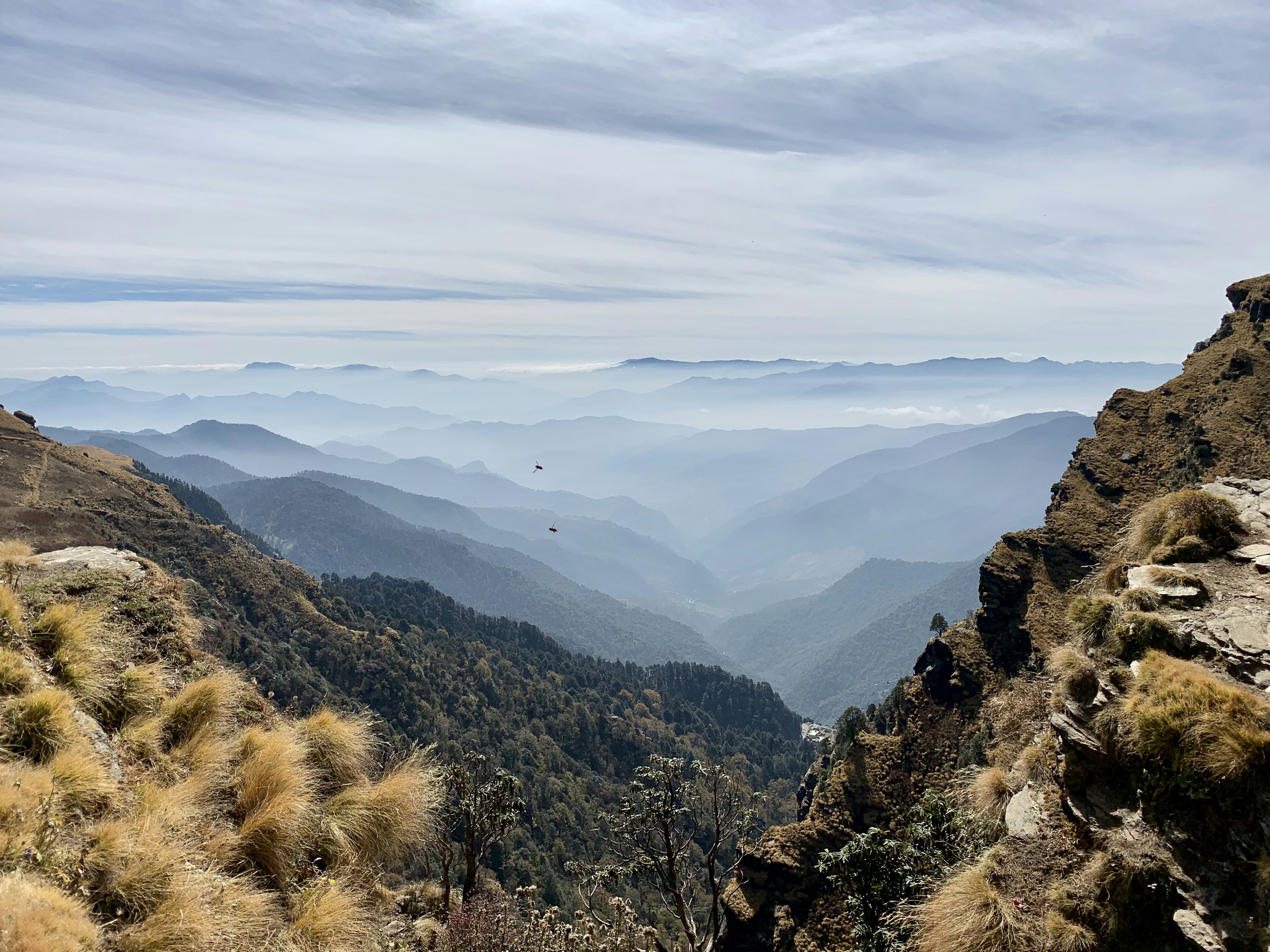 Layers of serenity.