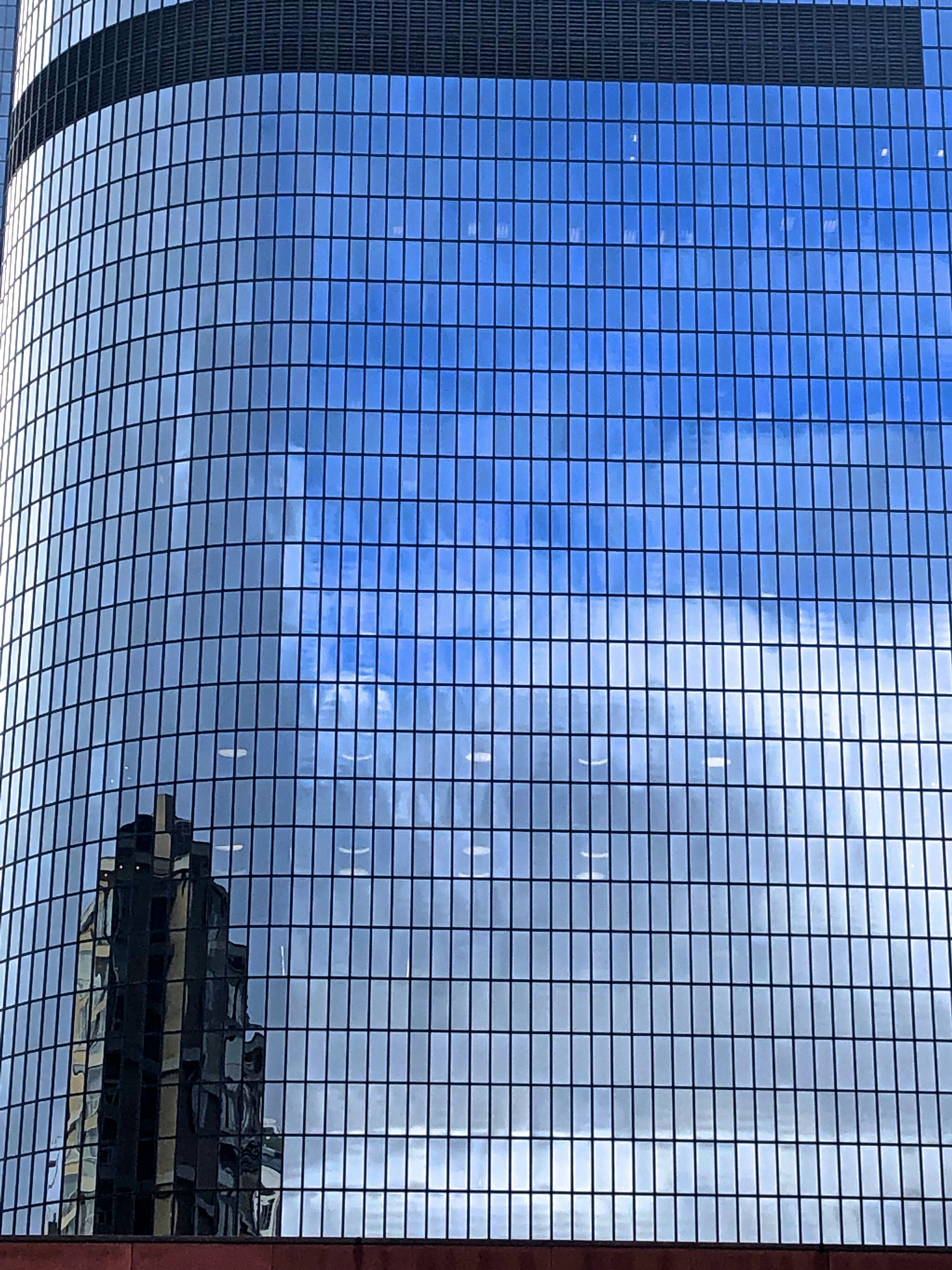 Architectural photography of glass building photo – Free Blue Image on ...