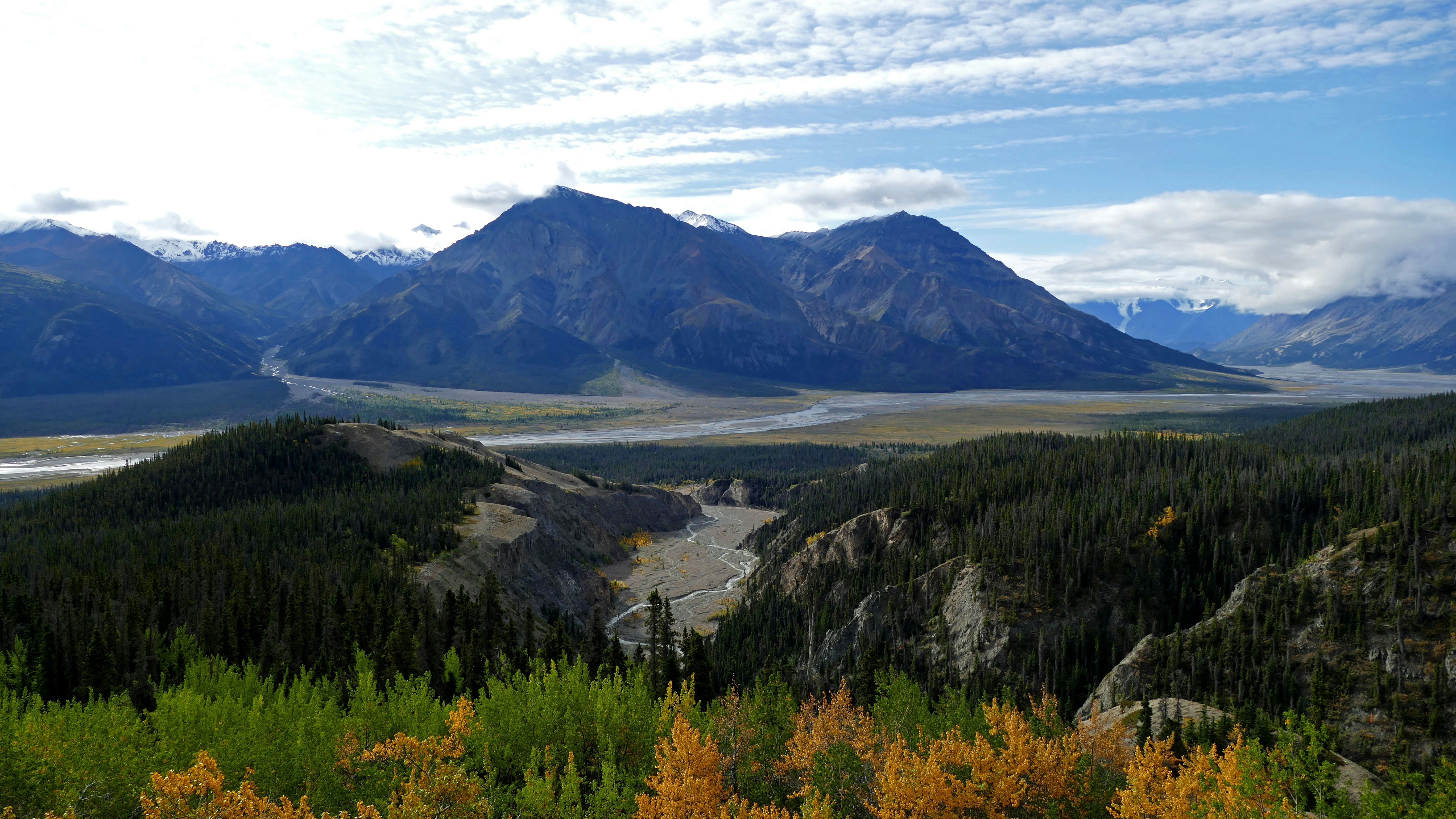 Valley Crown: Pines, River Vein, and Alpine Peaks