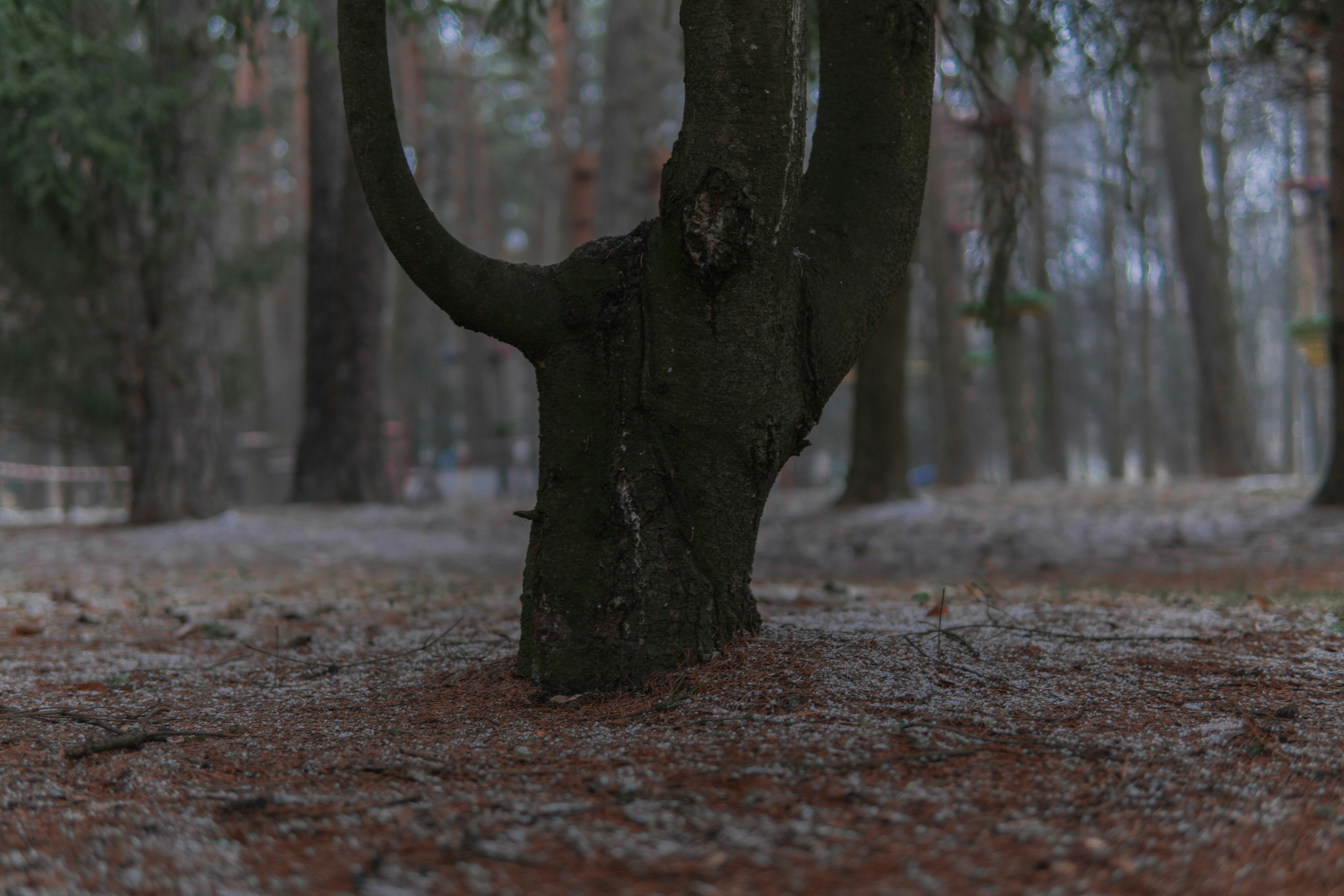 Définition de parqueur | Dictionnaire français