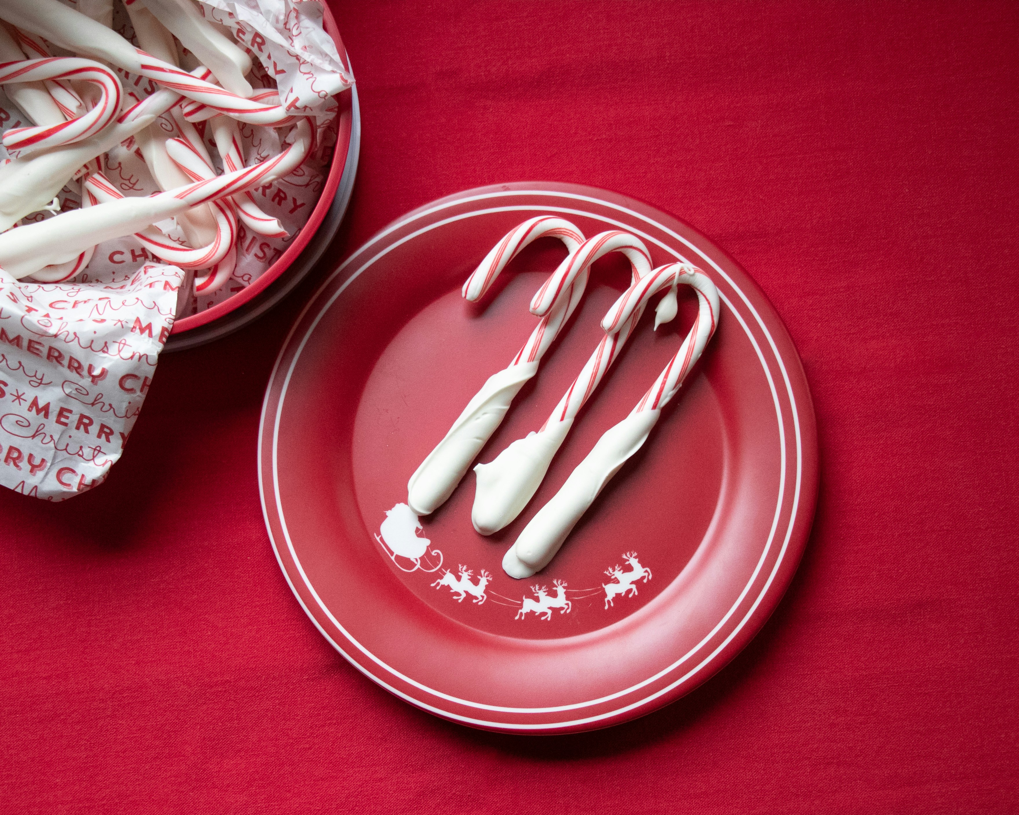 White and red candy canes on red plate photo – Free Florida Image on ...