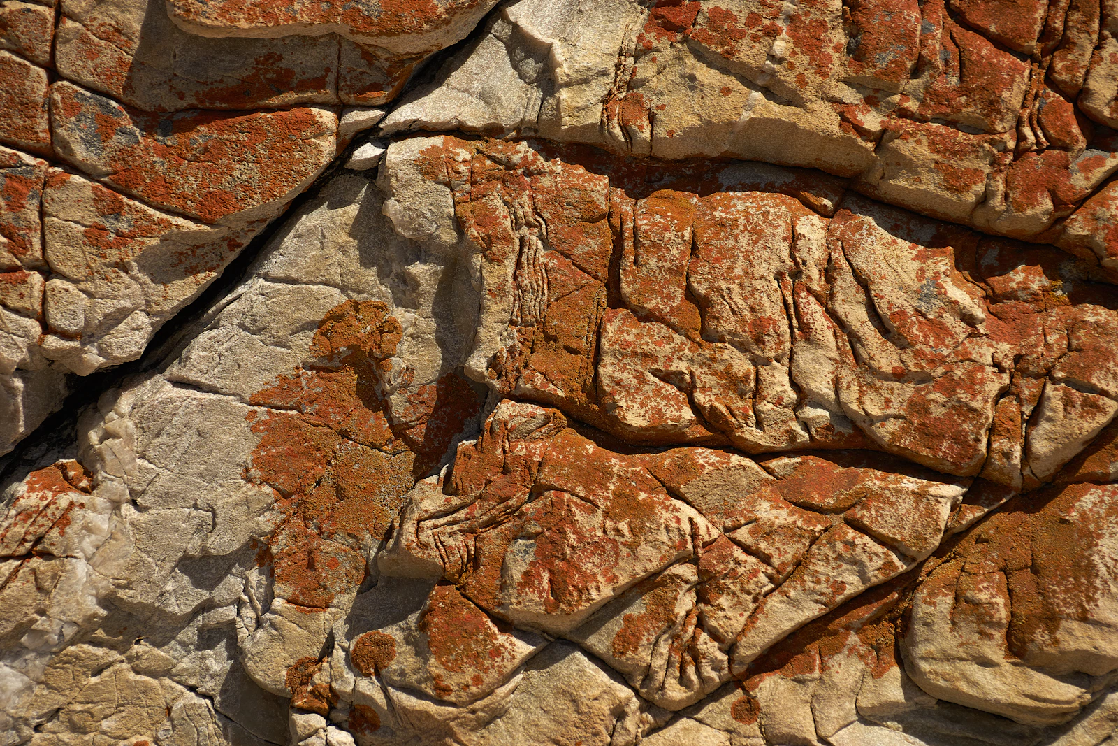 Fracture Portrait in Desert Granite
