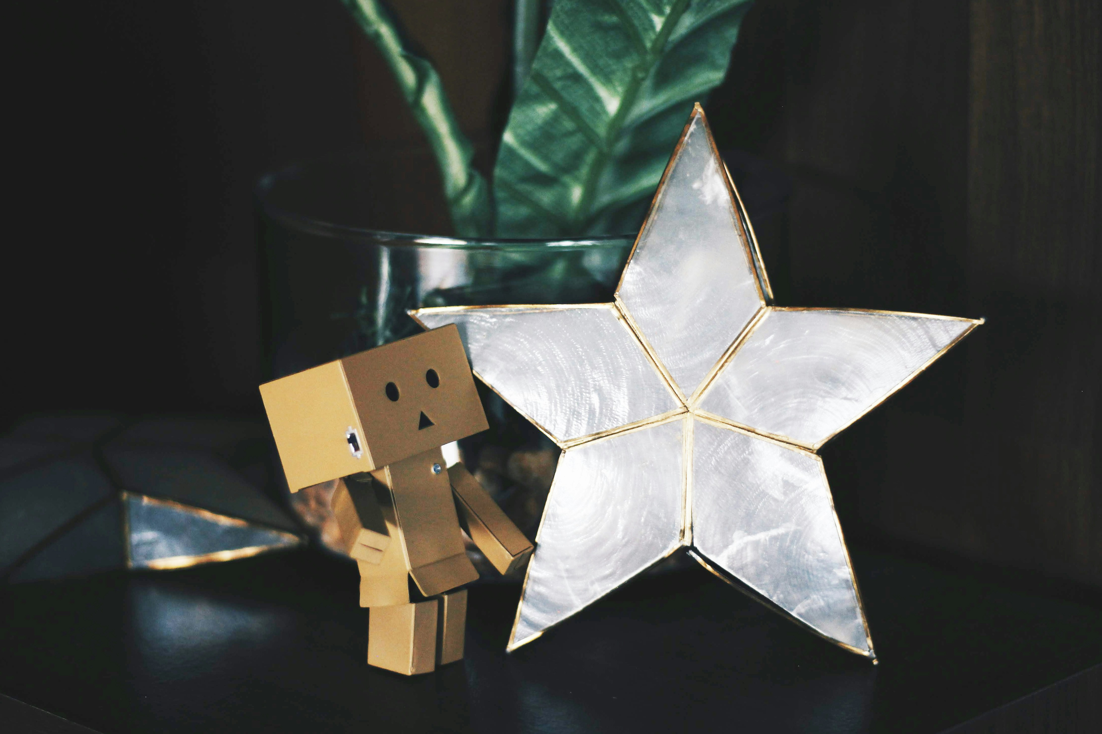 Danbo under a Silent Star: A Tiny Still Life in Warm Light