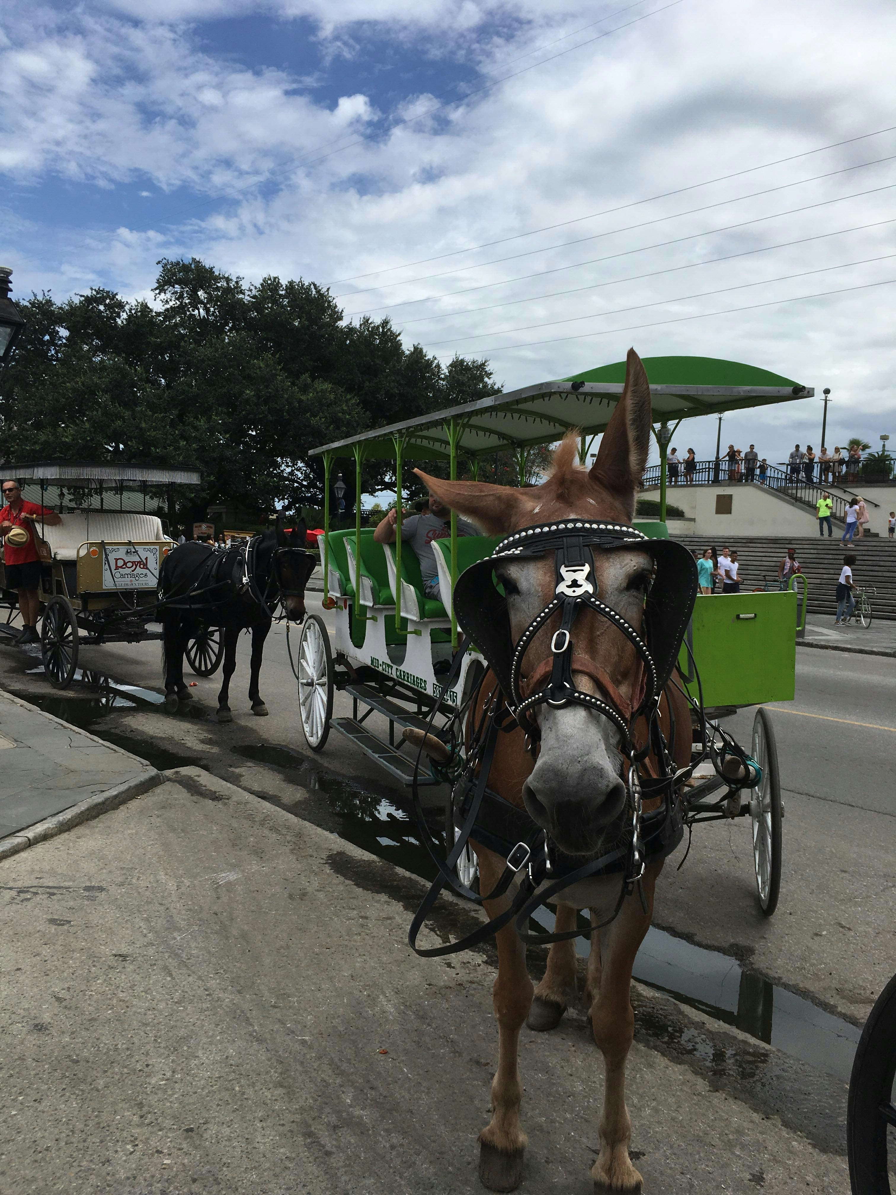 Ruben Rodriguez (@mojogroup) | Unsplash 사진 커뮤니티