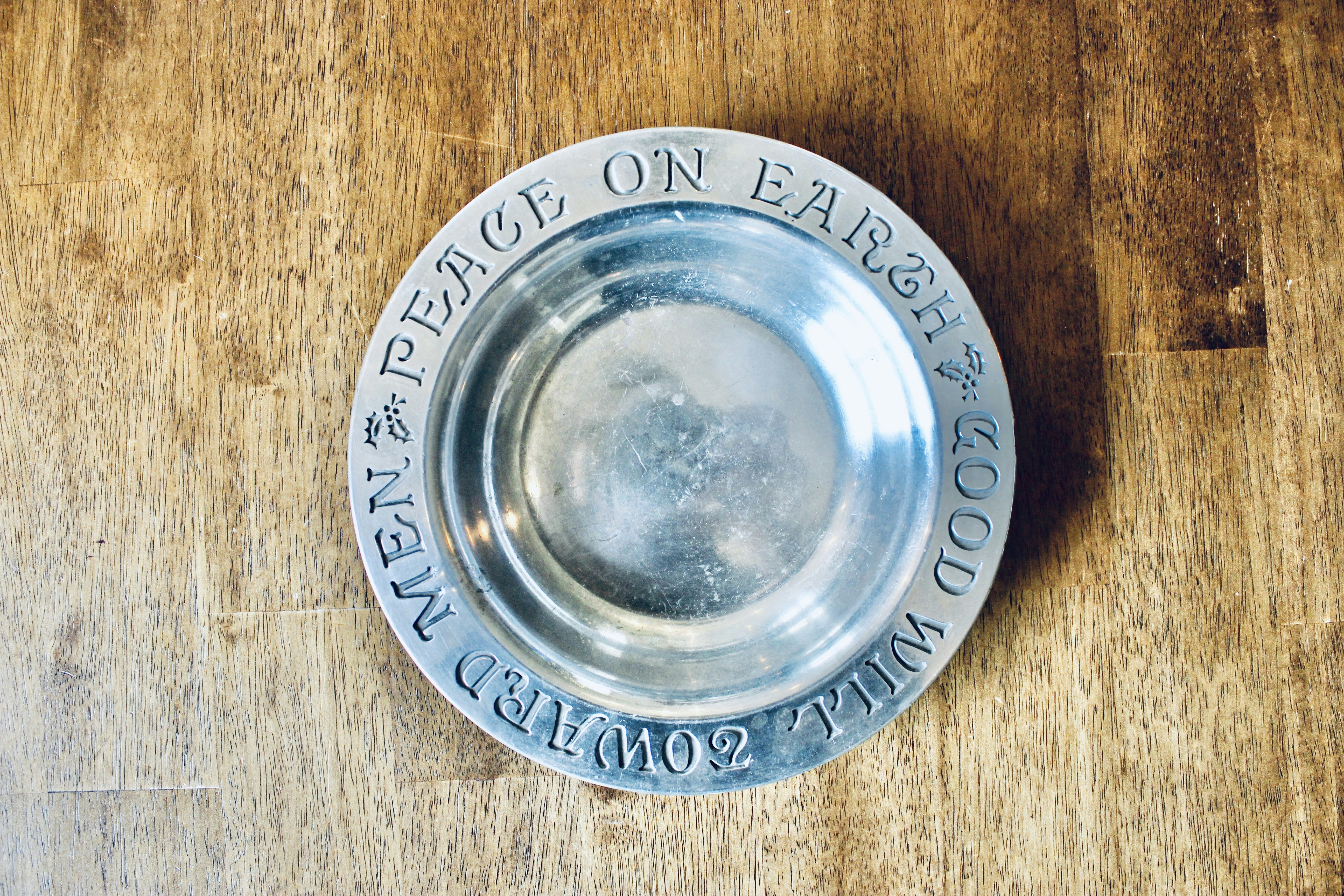 Reflections in a Stainless Ring: Pet Bowl on Honeyed Wood