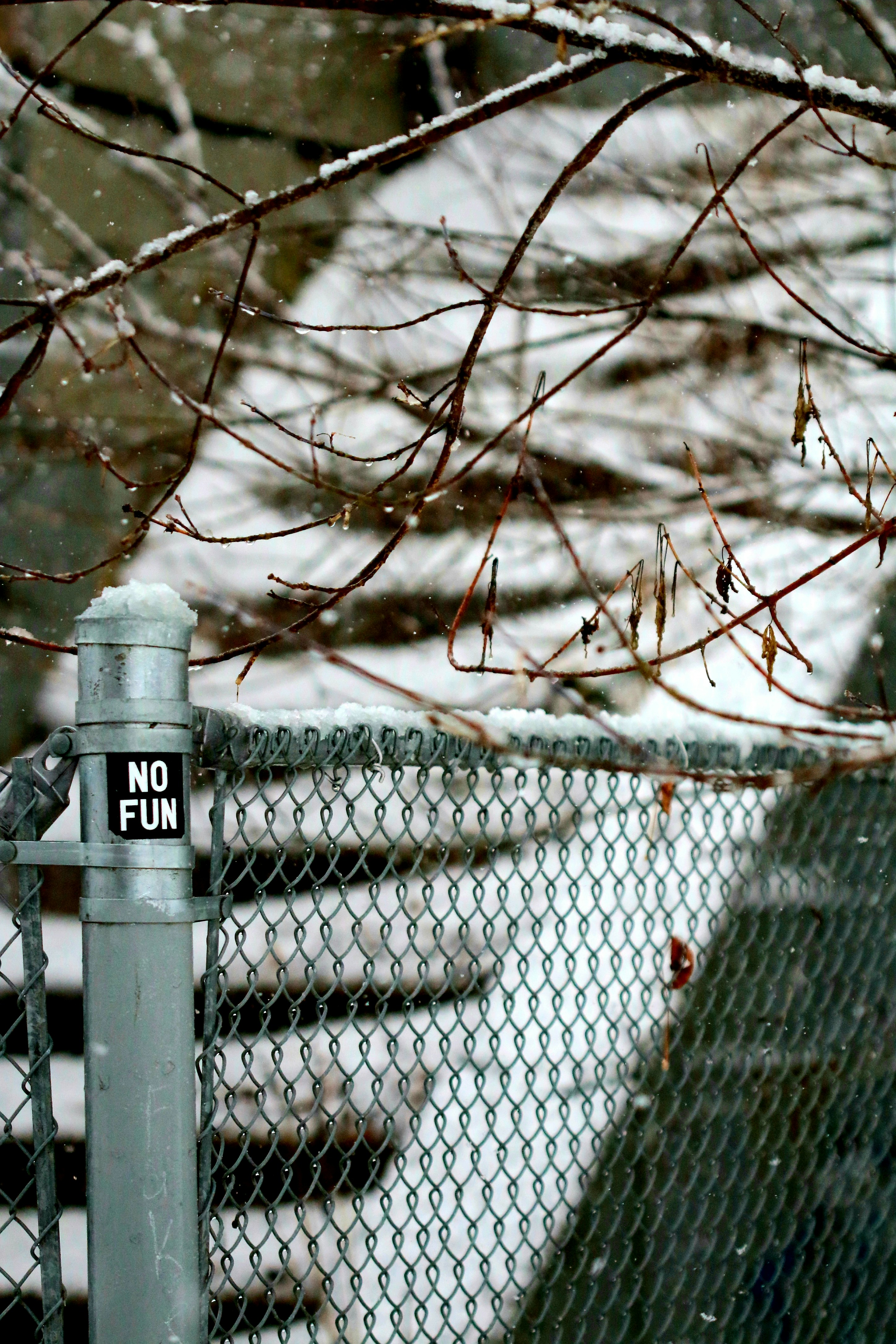No Fun on the Fence: Snow-Dusted Gate and a Defiant Sign