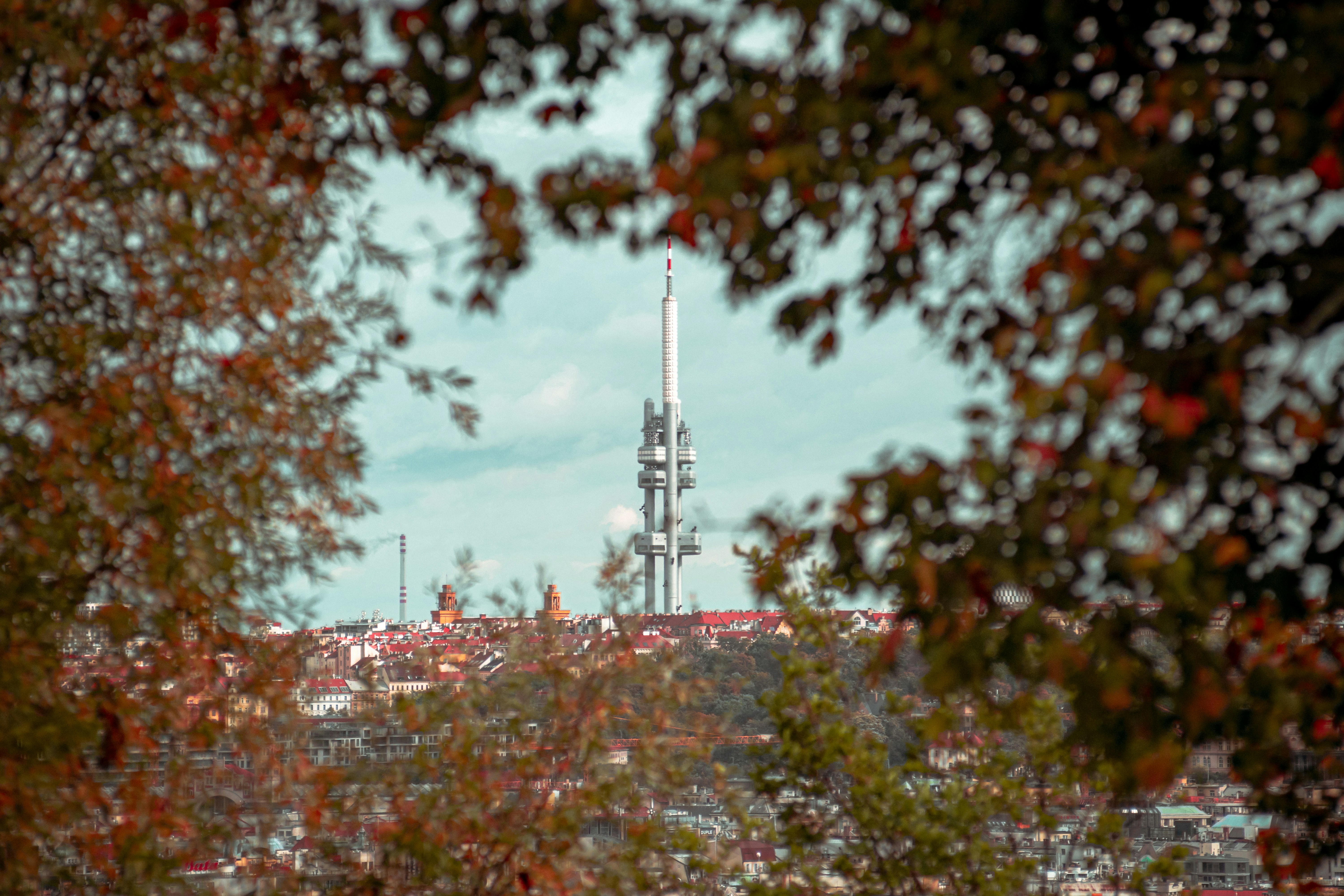 Centerframe Signal: The City Tower Peeking Through Autumn Canopy
