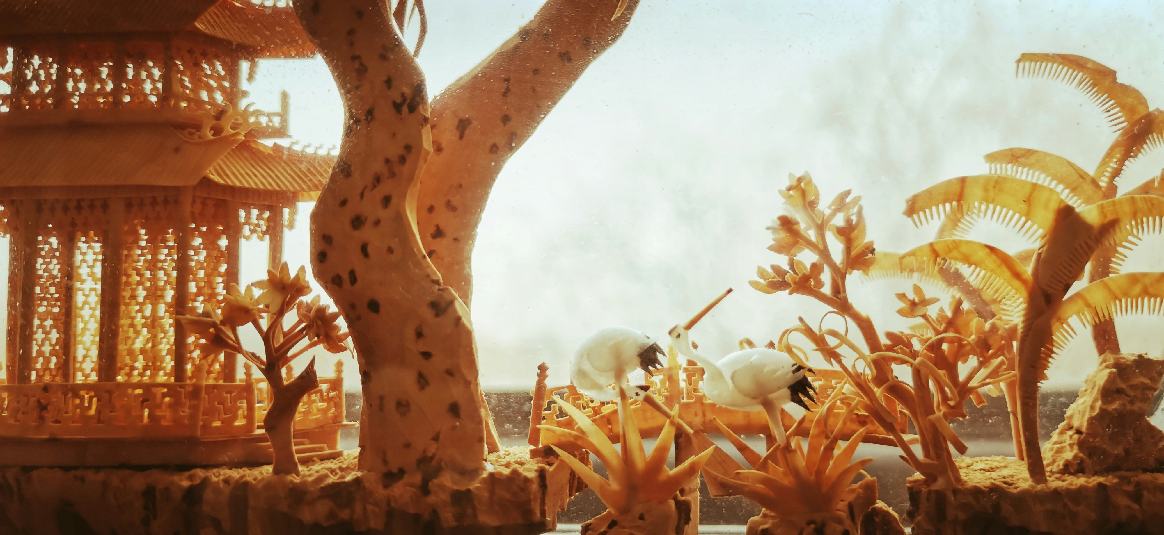 Animated Nature Pictures | Download Free Images on Unsplash