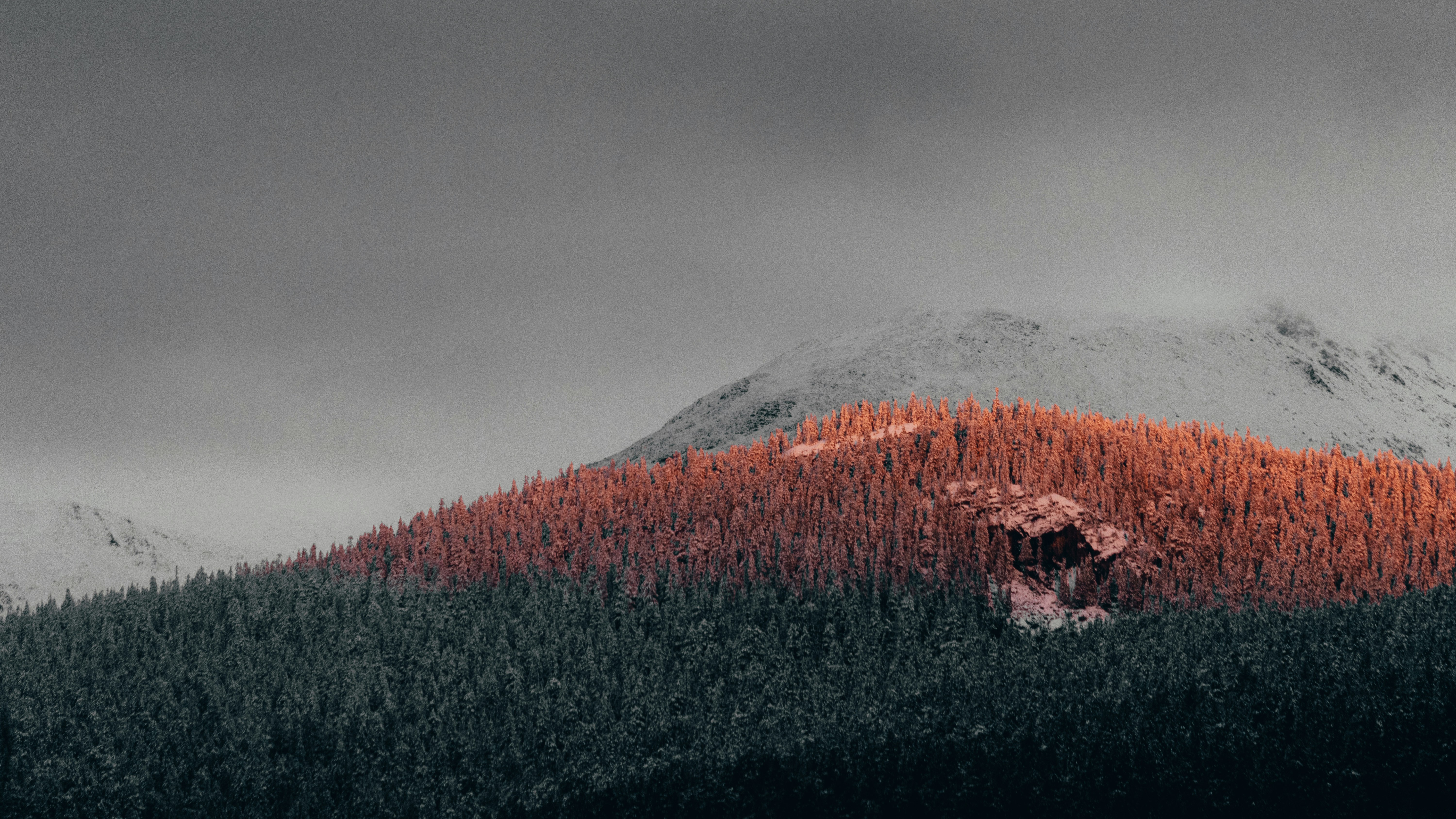 A mountain landscape where the sun's rays illuminate a snow-dusted hill, contrasting with the dark evergreen forest below.