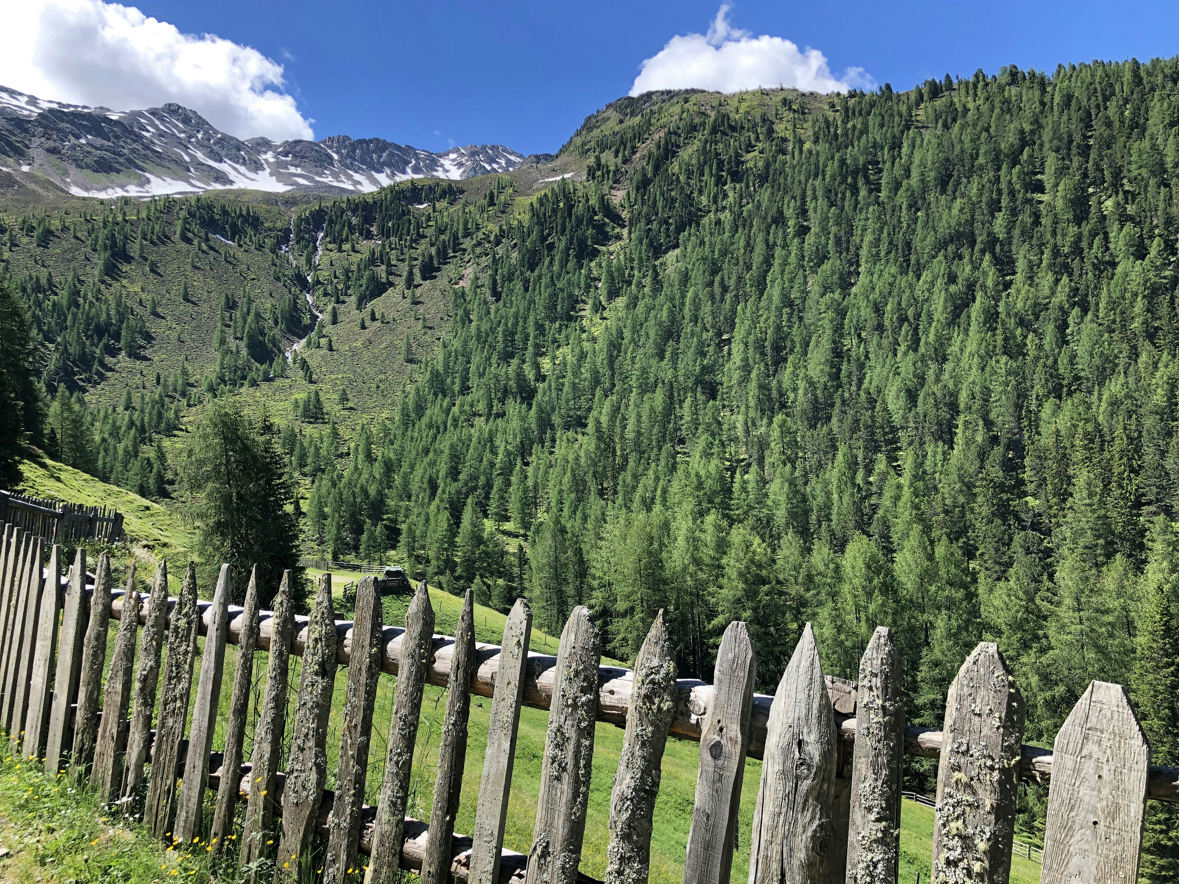 Fence line toward a pine-filled valley under a bright alpine sky