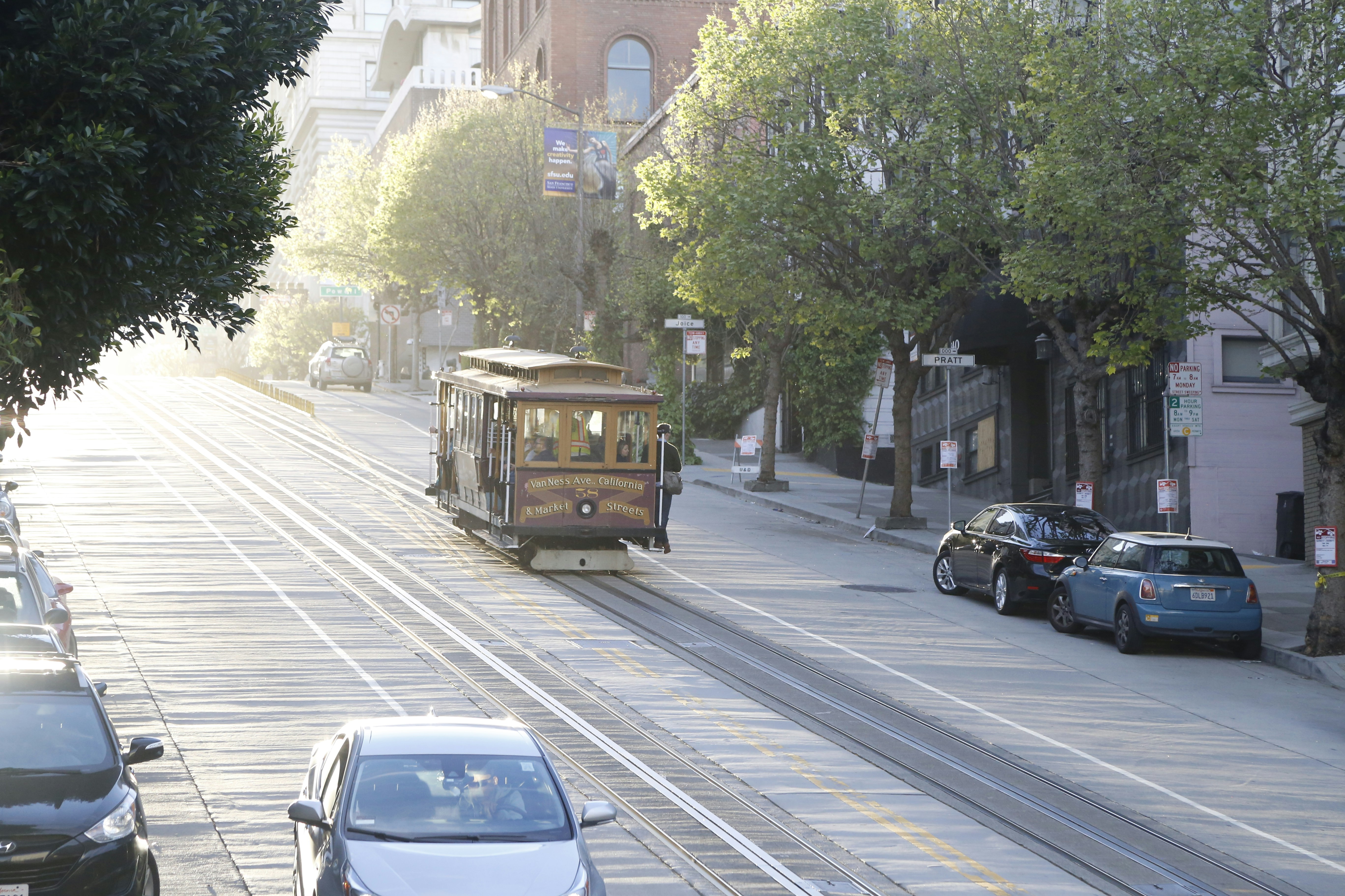 Tram in the Morning Light on a Tree-Lined City Street