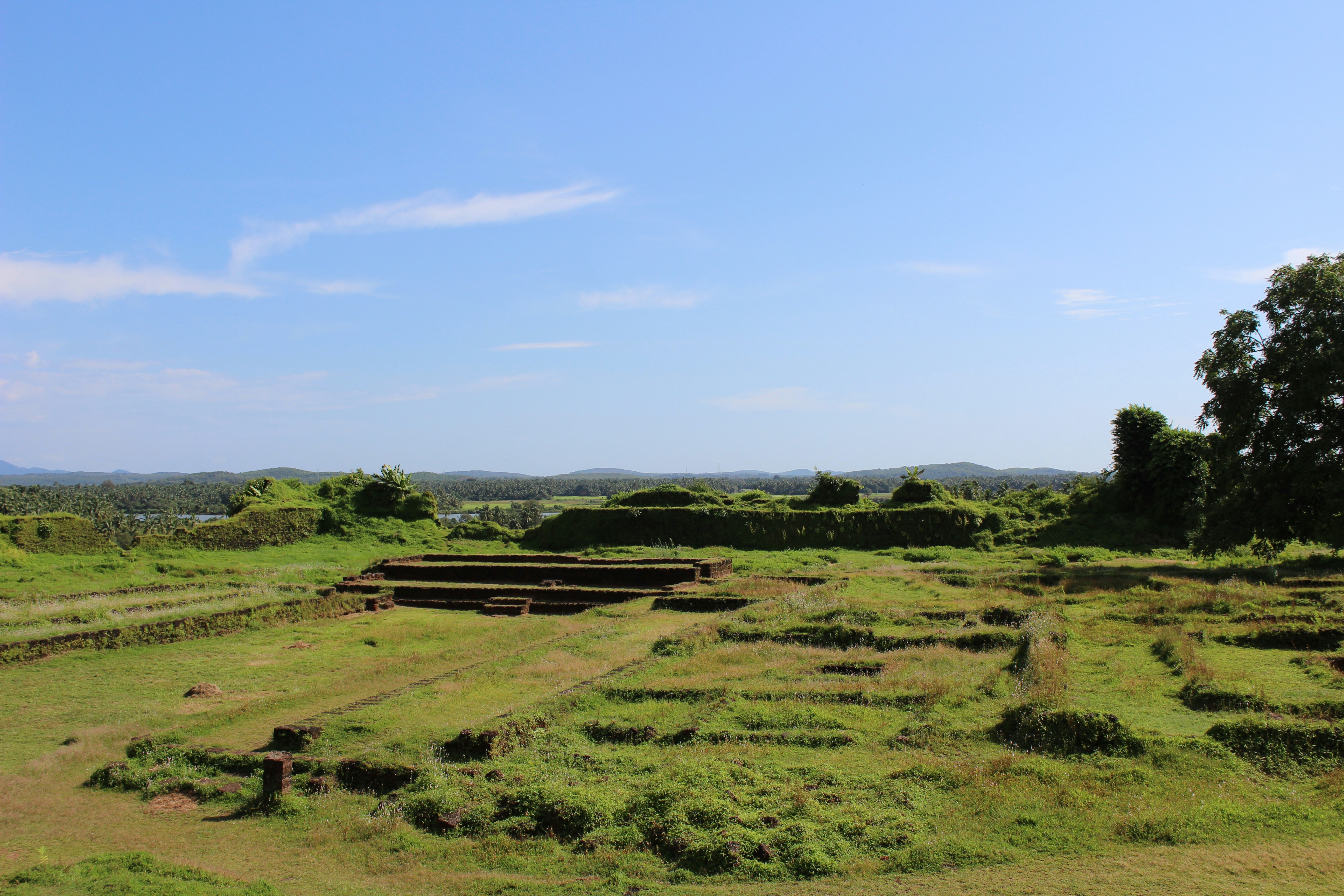 Ancient Ruins Amidst Verdant Plains