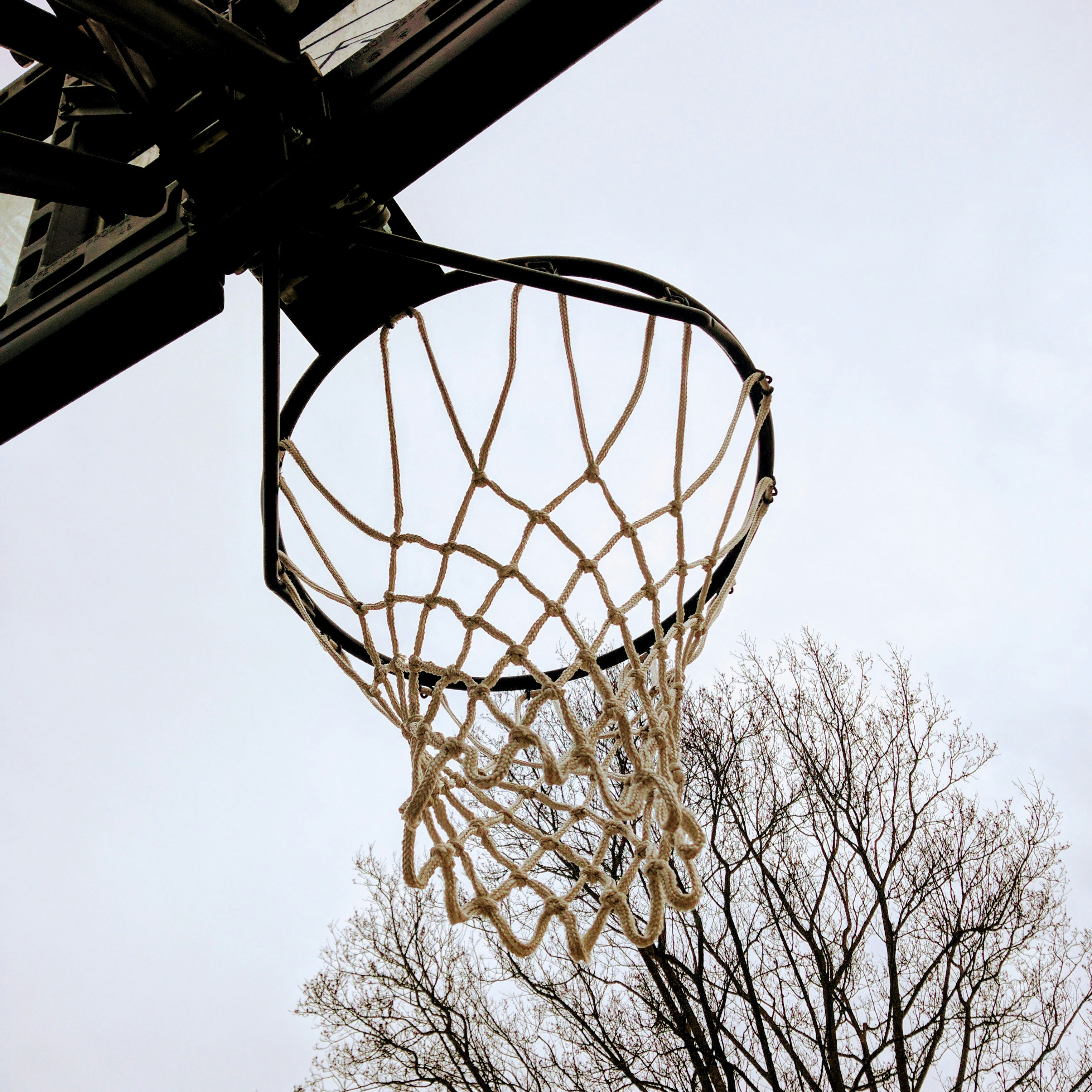 Basketball hoop framed against a cloudy sky, with branches subtly visible in the background.