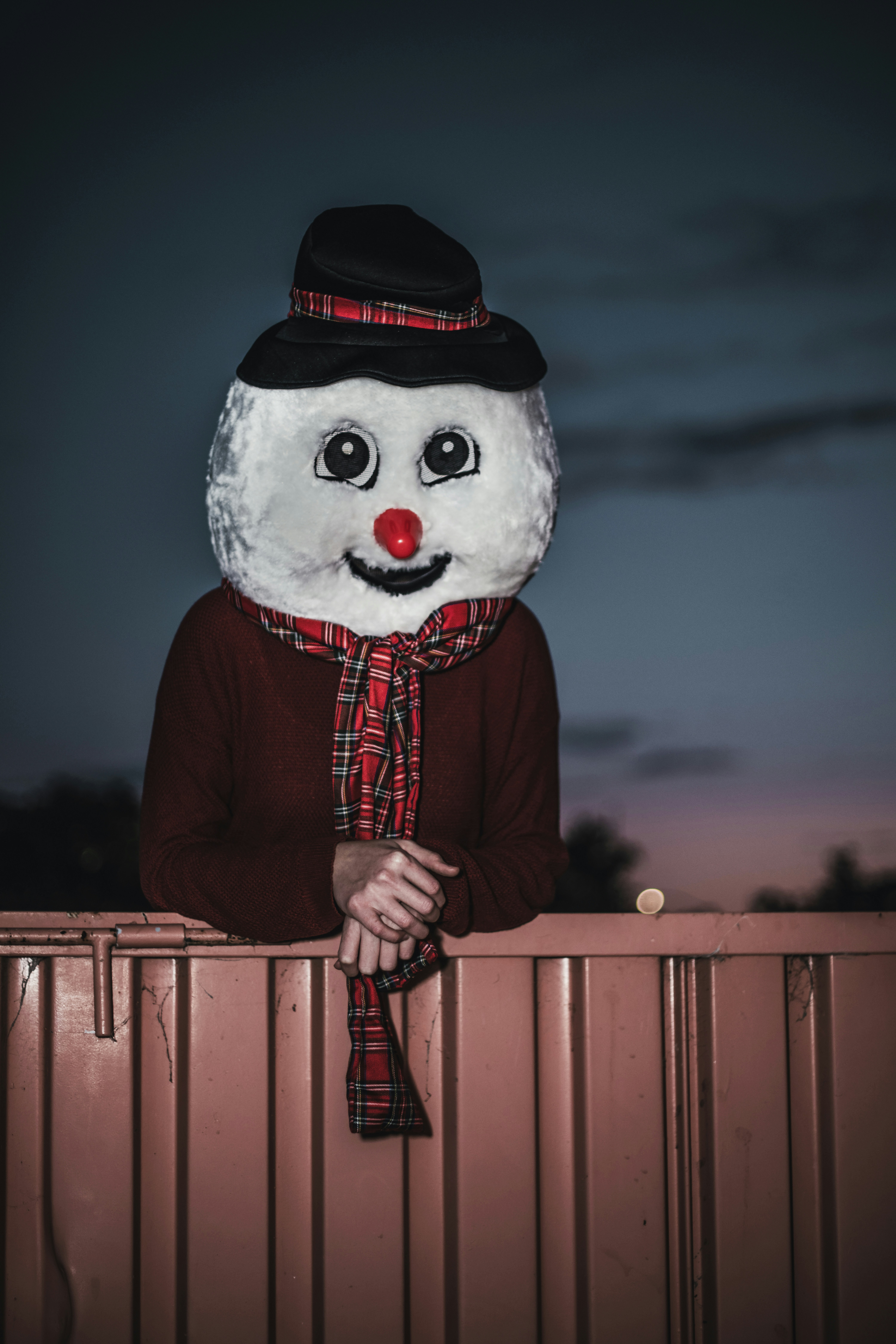 Person wearing snowman mascot photo – Free Snowman Image on Unsplash