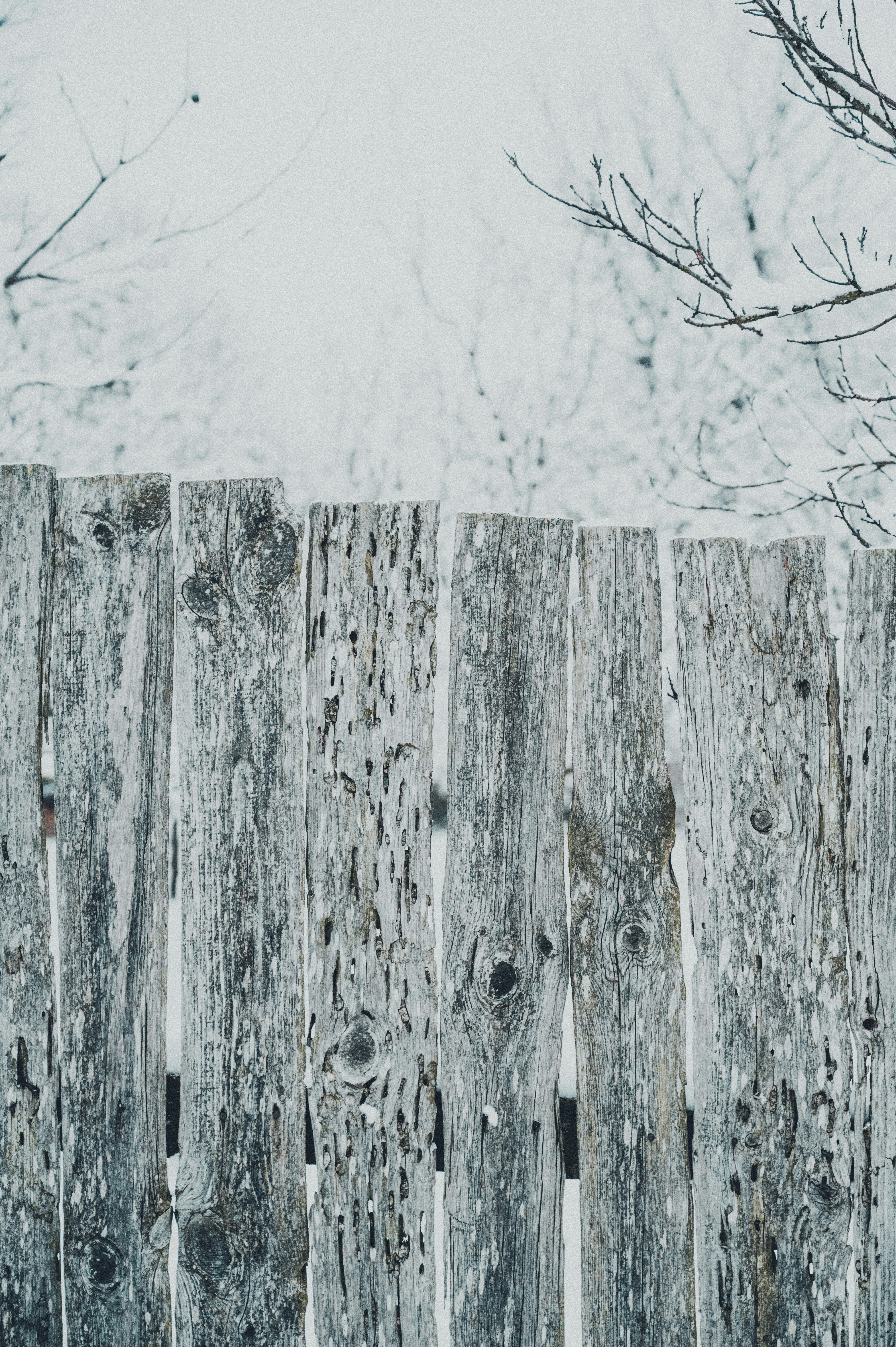 Gray wooden fence under a clear sky during daytime photo – Free Grey ...
