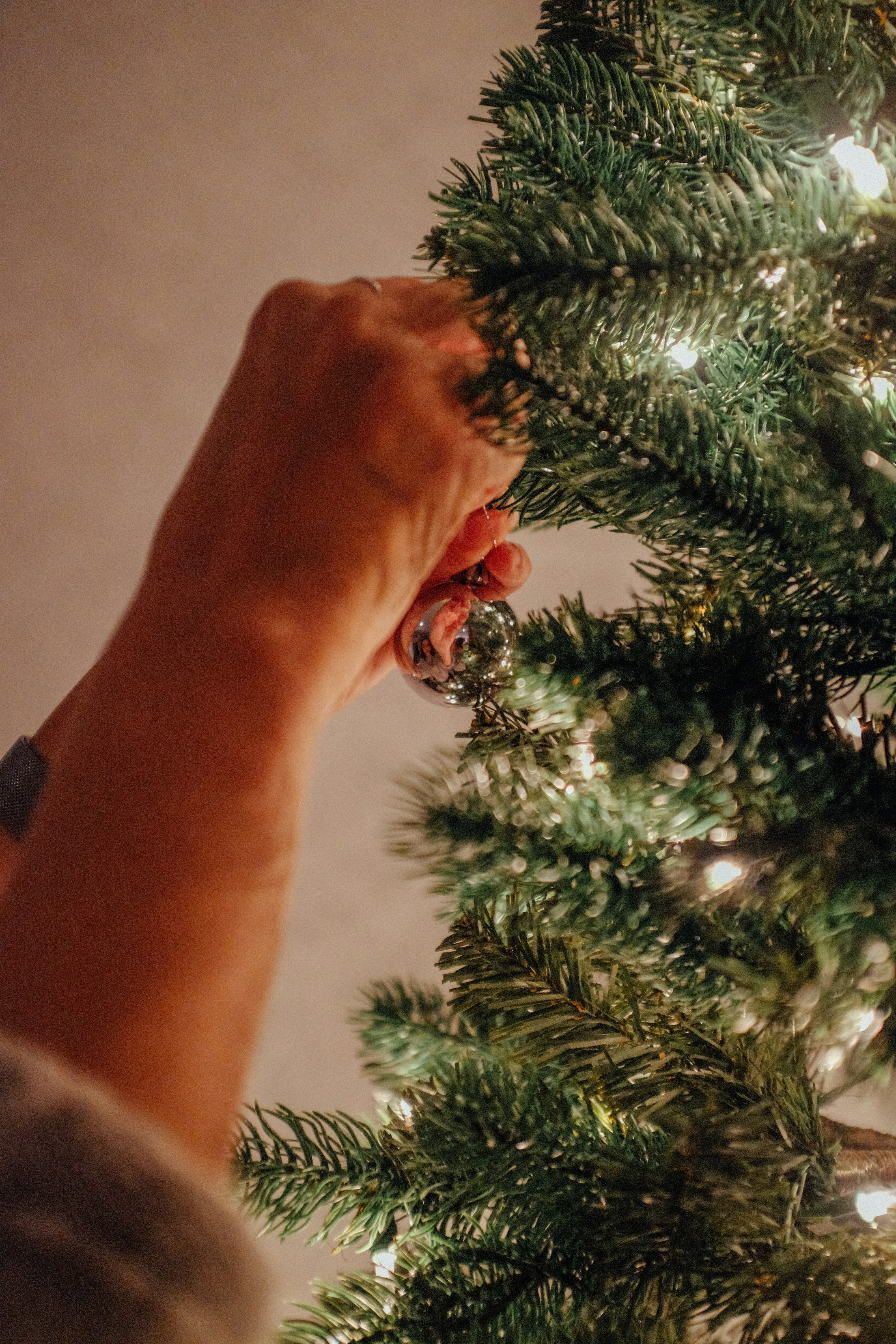 Putting up the Christmas tree | Christmas tree