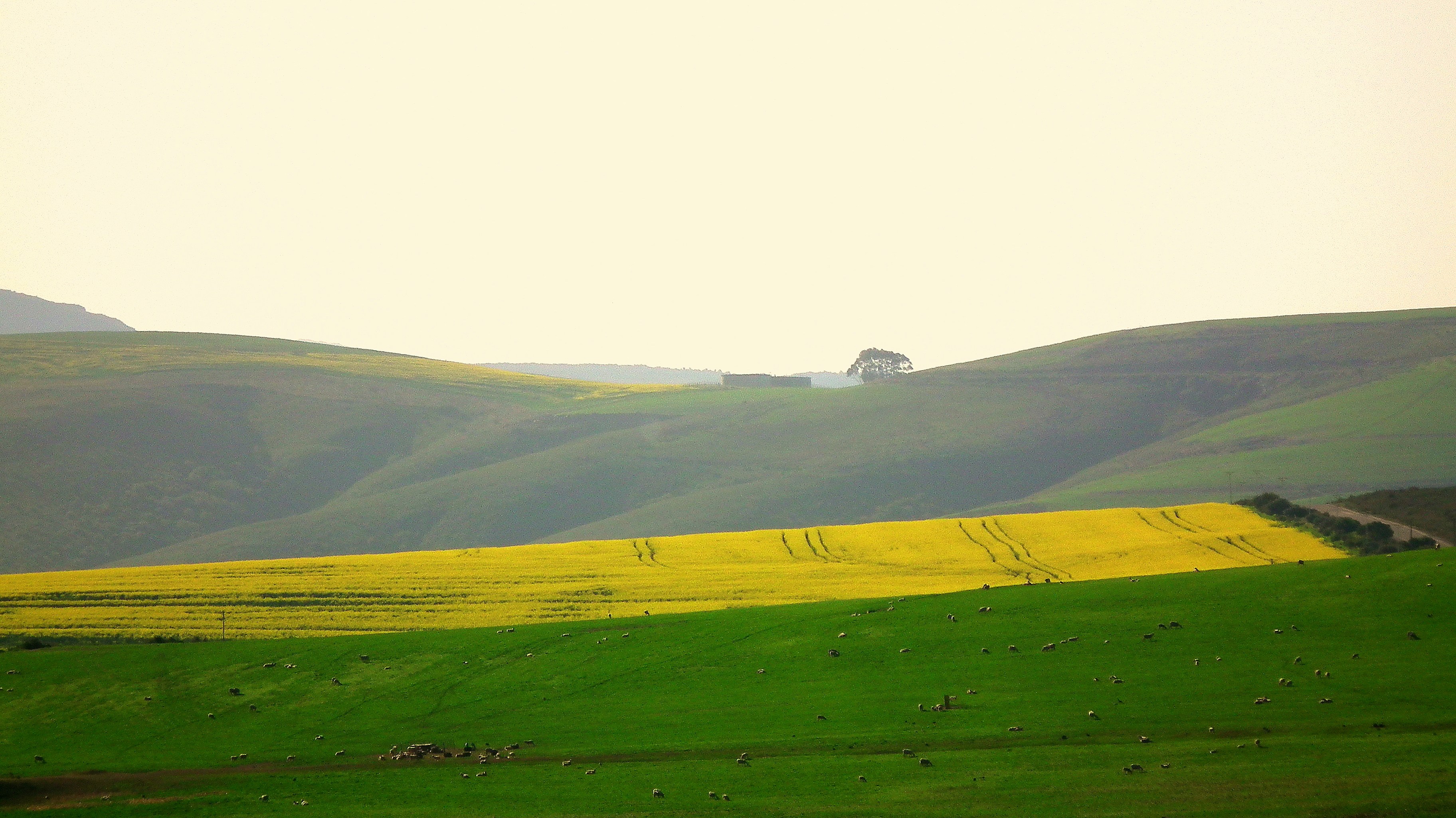 Photo by fred tromp with Fujifilm FinePix HS10