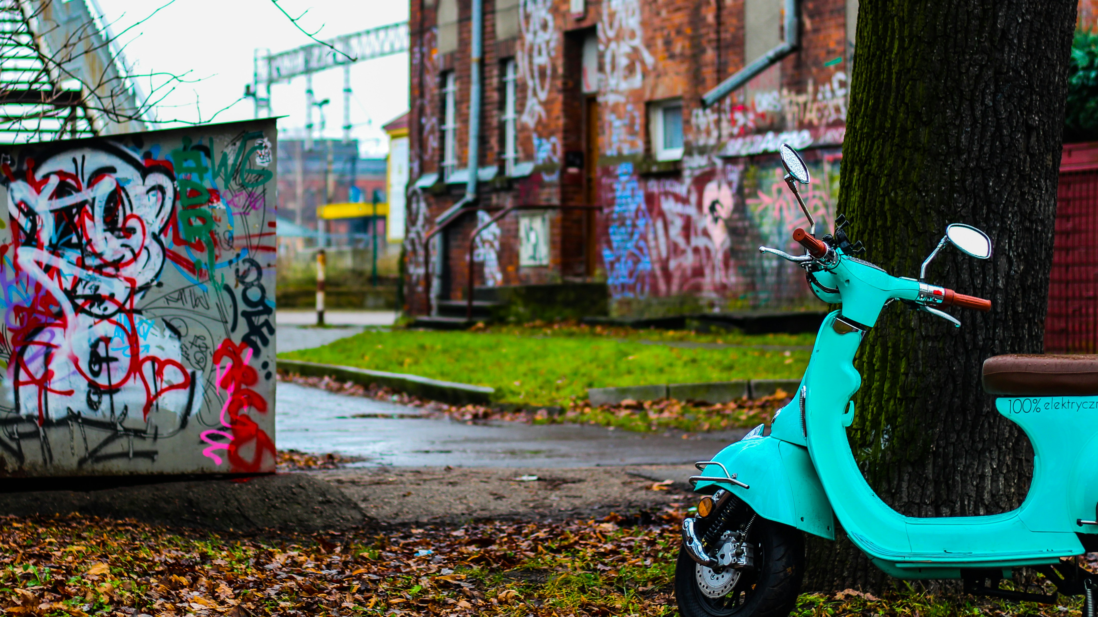 Teal motor scooter parked beside tree photo – Free Green Image on Unsplash
