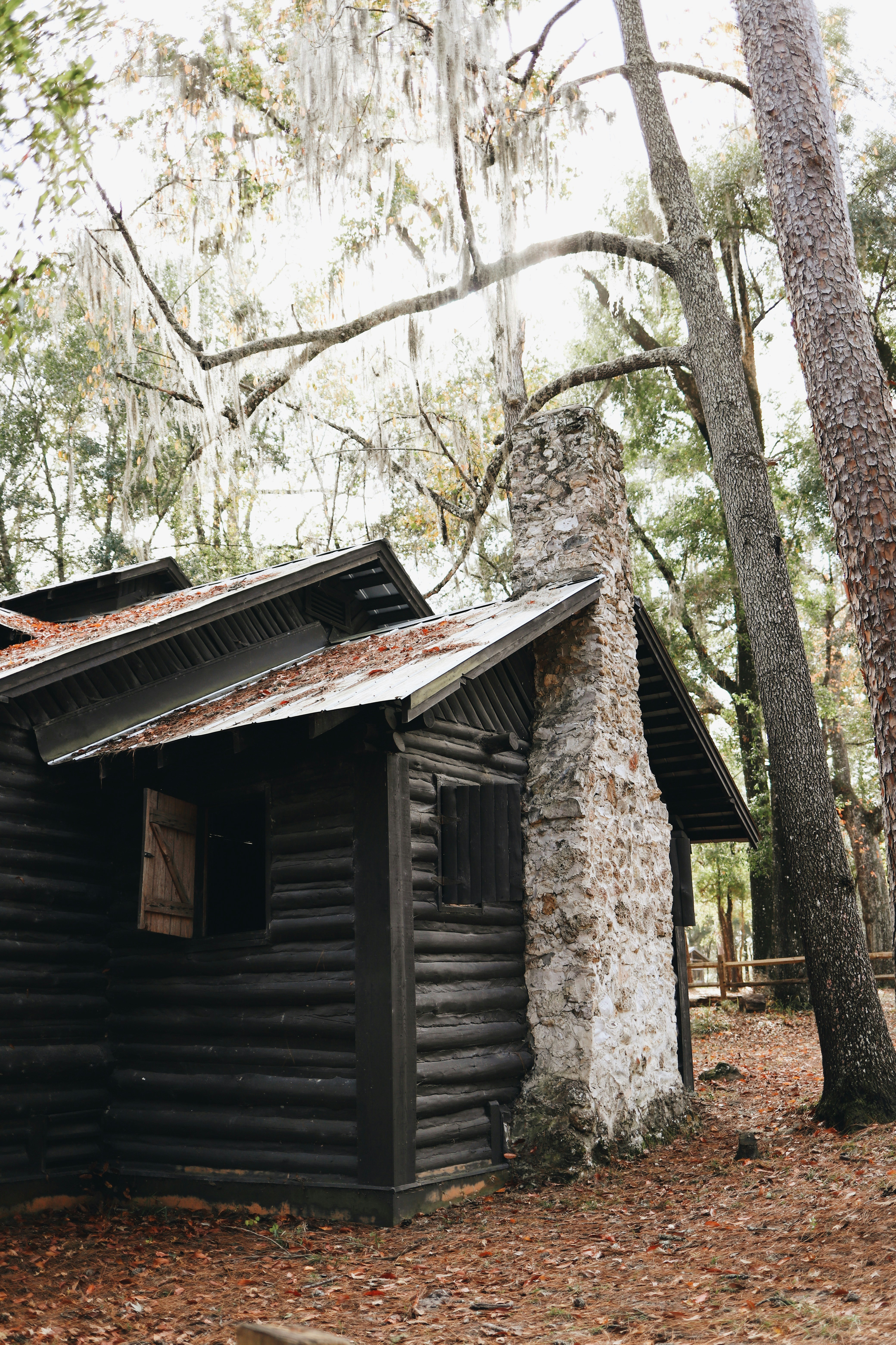 Blackened Cabin atop a Fieldstone Chimney in a Pine Forest