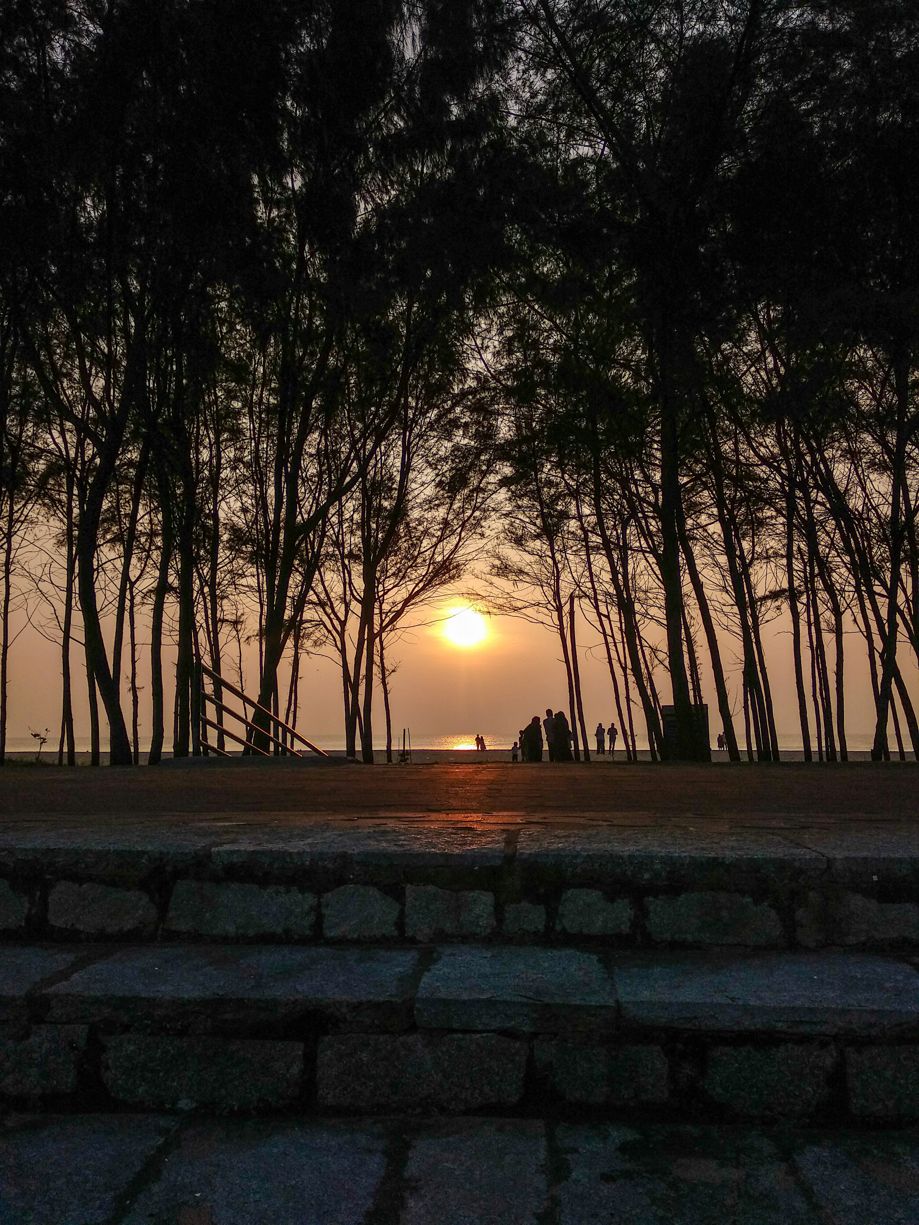 Silhouetted trees frame a sunset over the horizon, with people gathered at the edge of a pathway. The warm glow of the sun contrasts with the darkening sky.