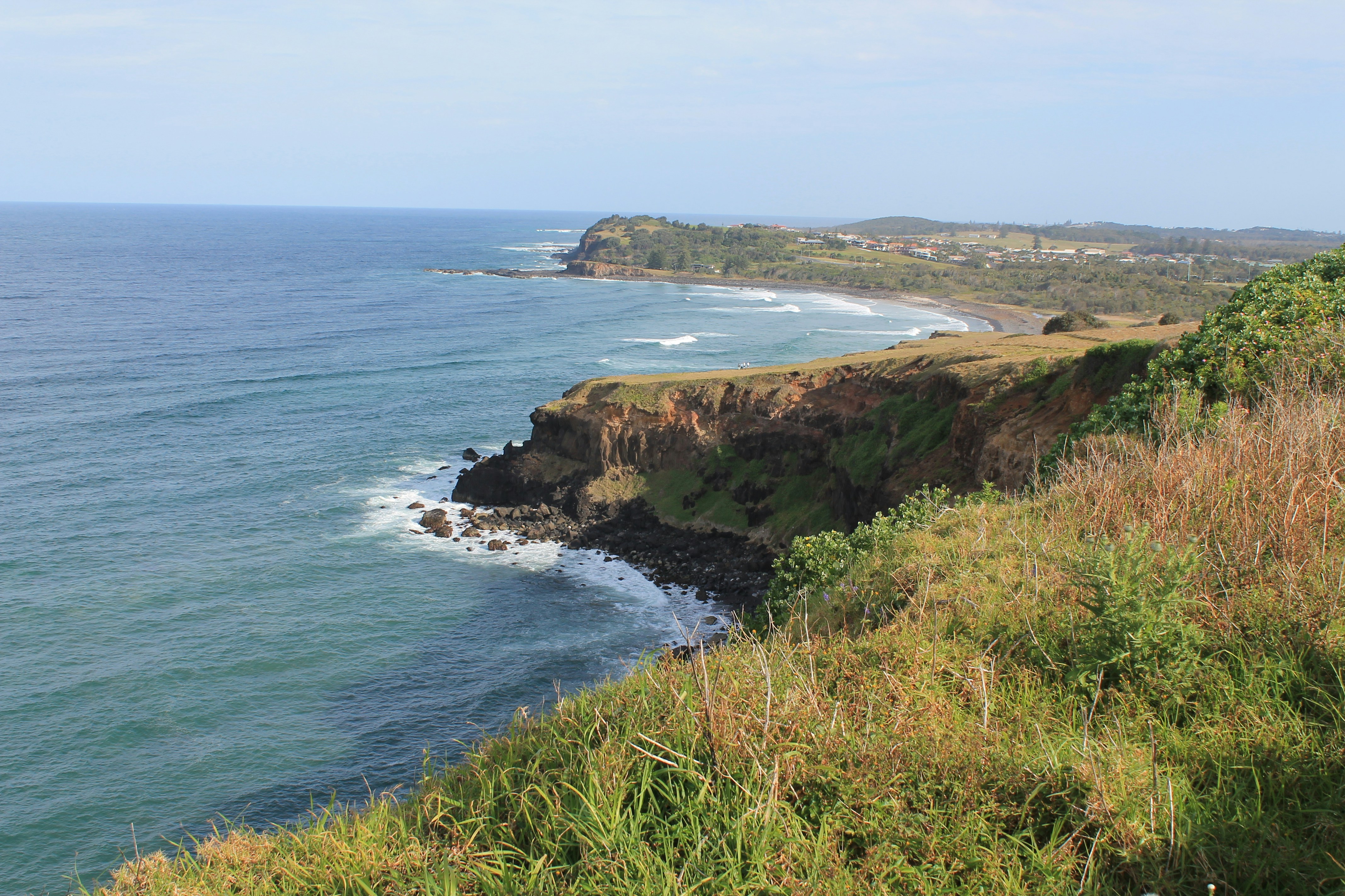 Beach Trees Pictures | Download Free Images on Unsplash