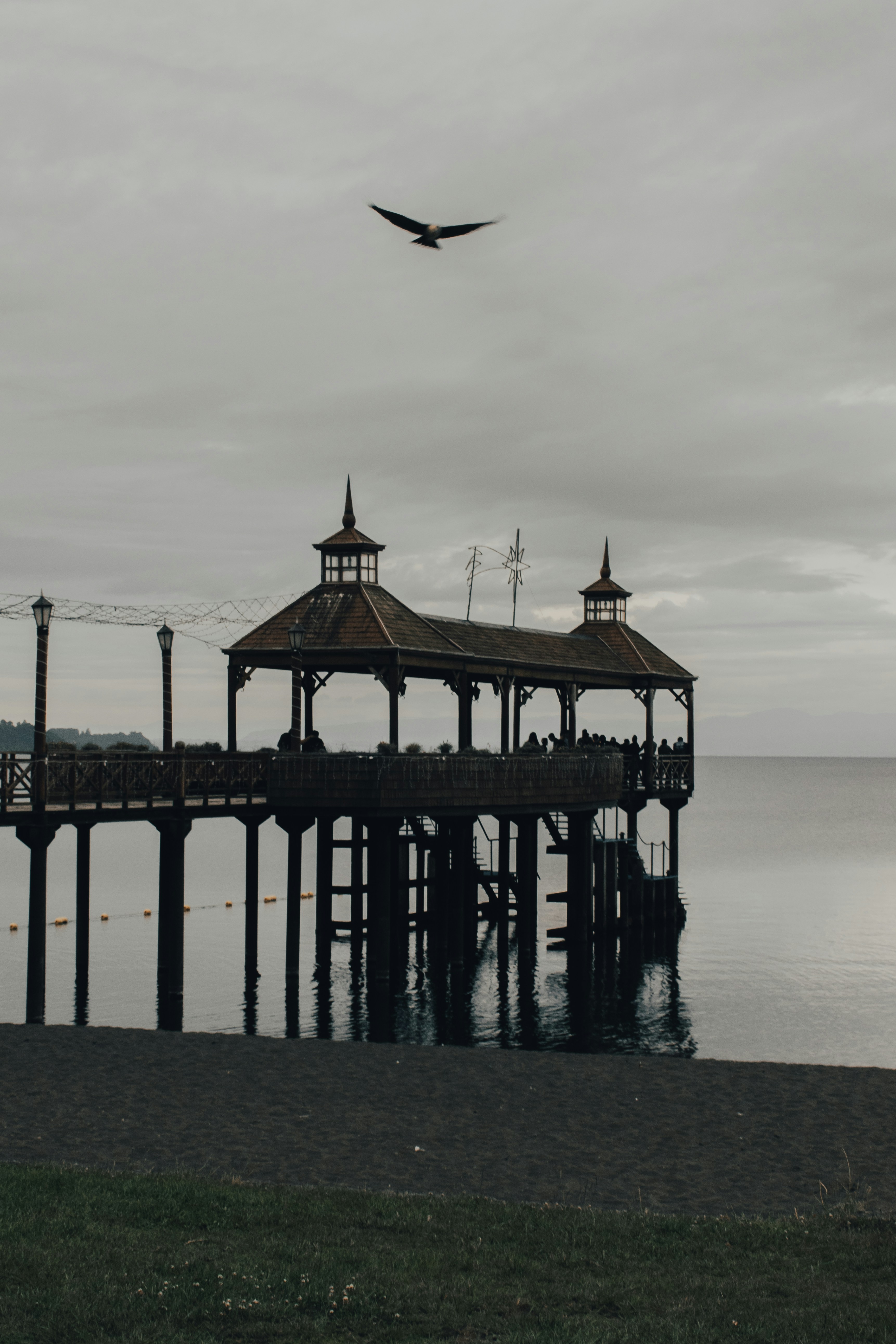 Pier Pavilion at Dusk: A Seagull Over Walkways and Boats