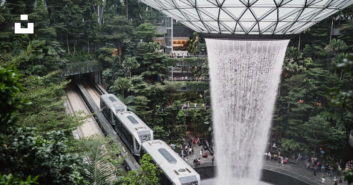 낮 동안 싱가포르의 가든스 바이 더 베이gardens By The Bay 근처 사람들의 항공 사진 사진 Unsplash의