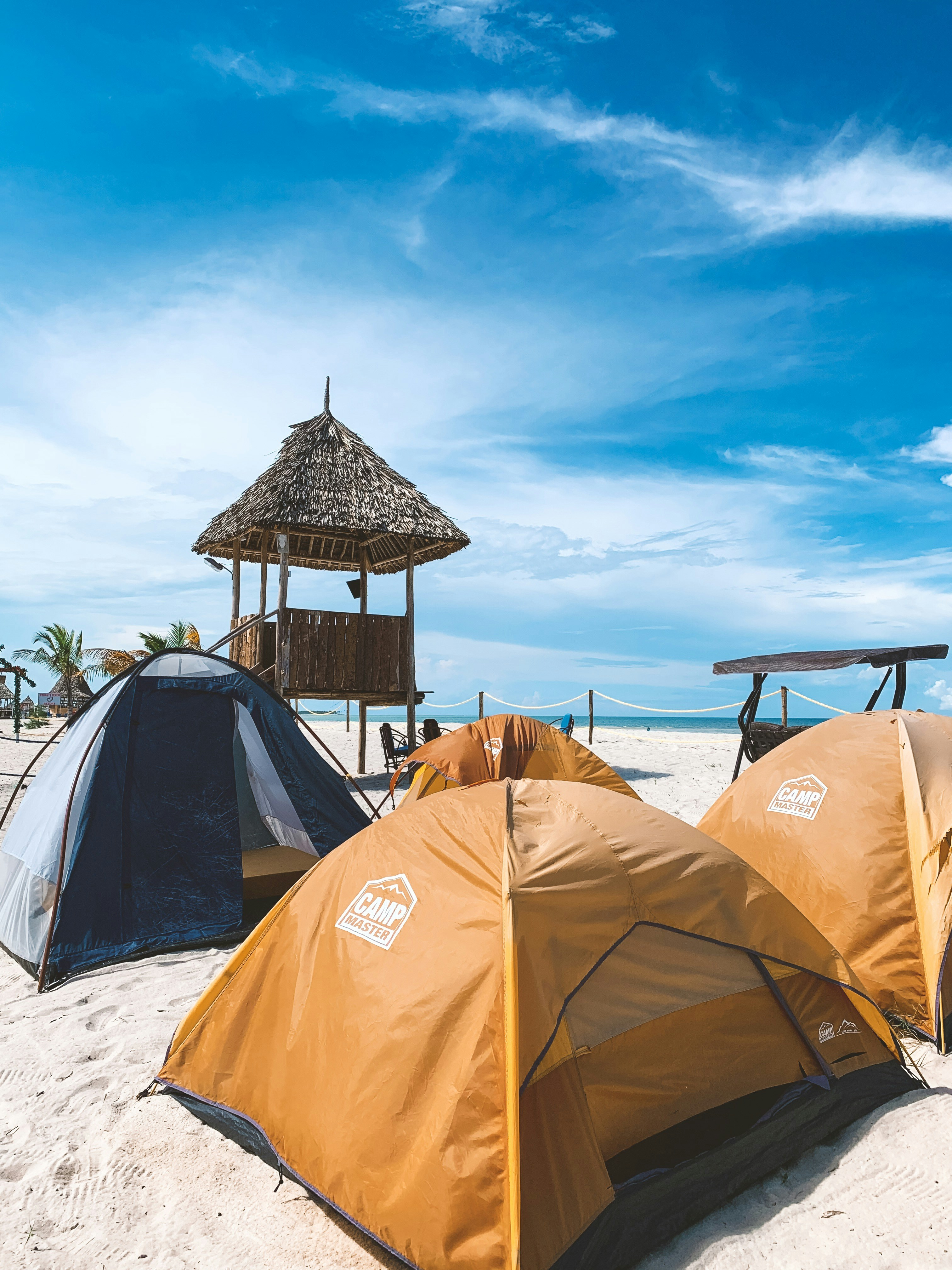 Canopy of Orange: Campsites Curl the Shoreline Under a Tidy Blue Sky