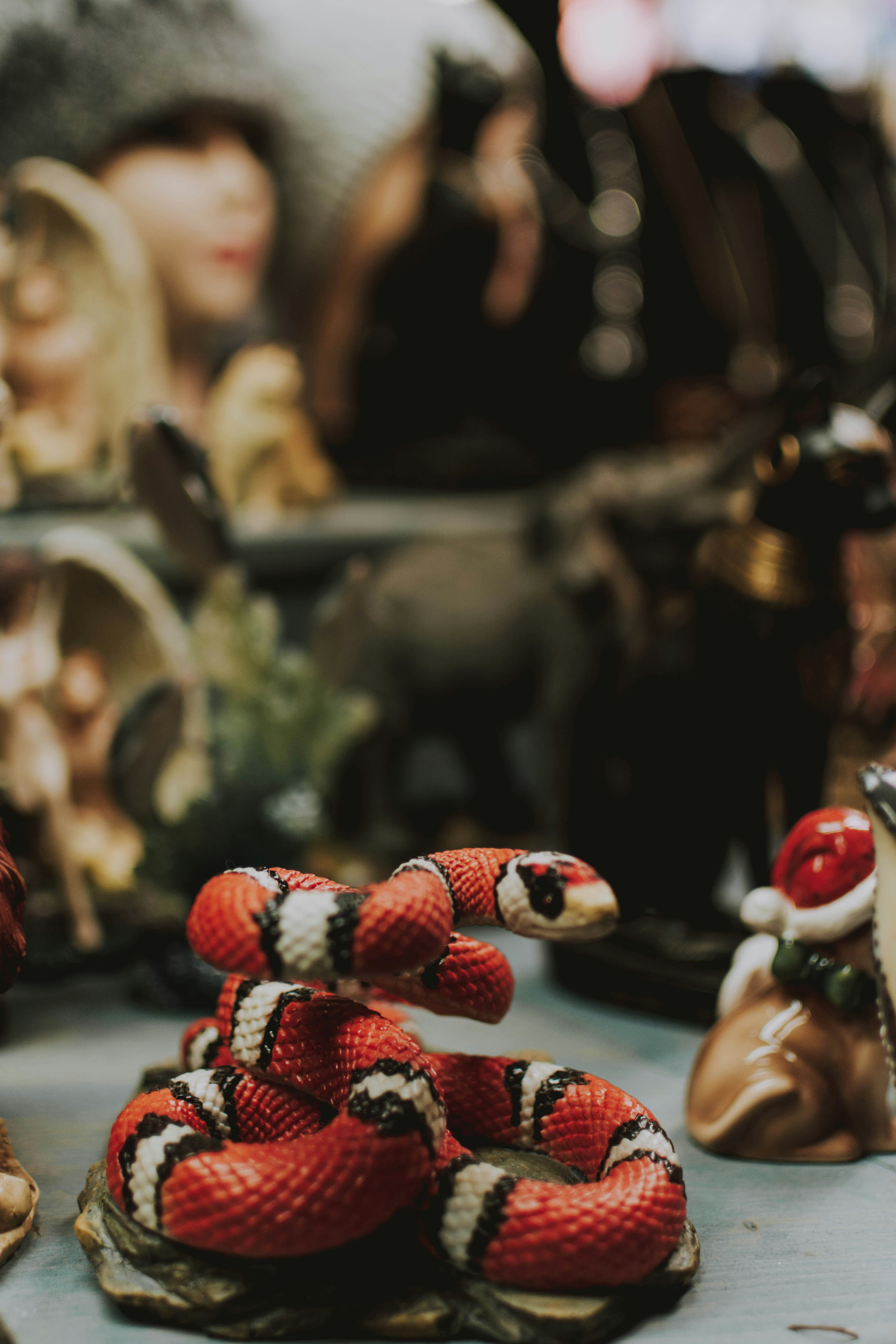 Red-Scaled Serpent: A Still Life of a Decorative Cobra