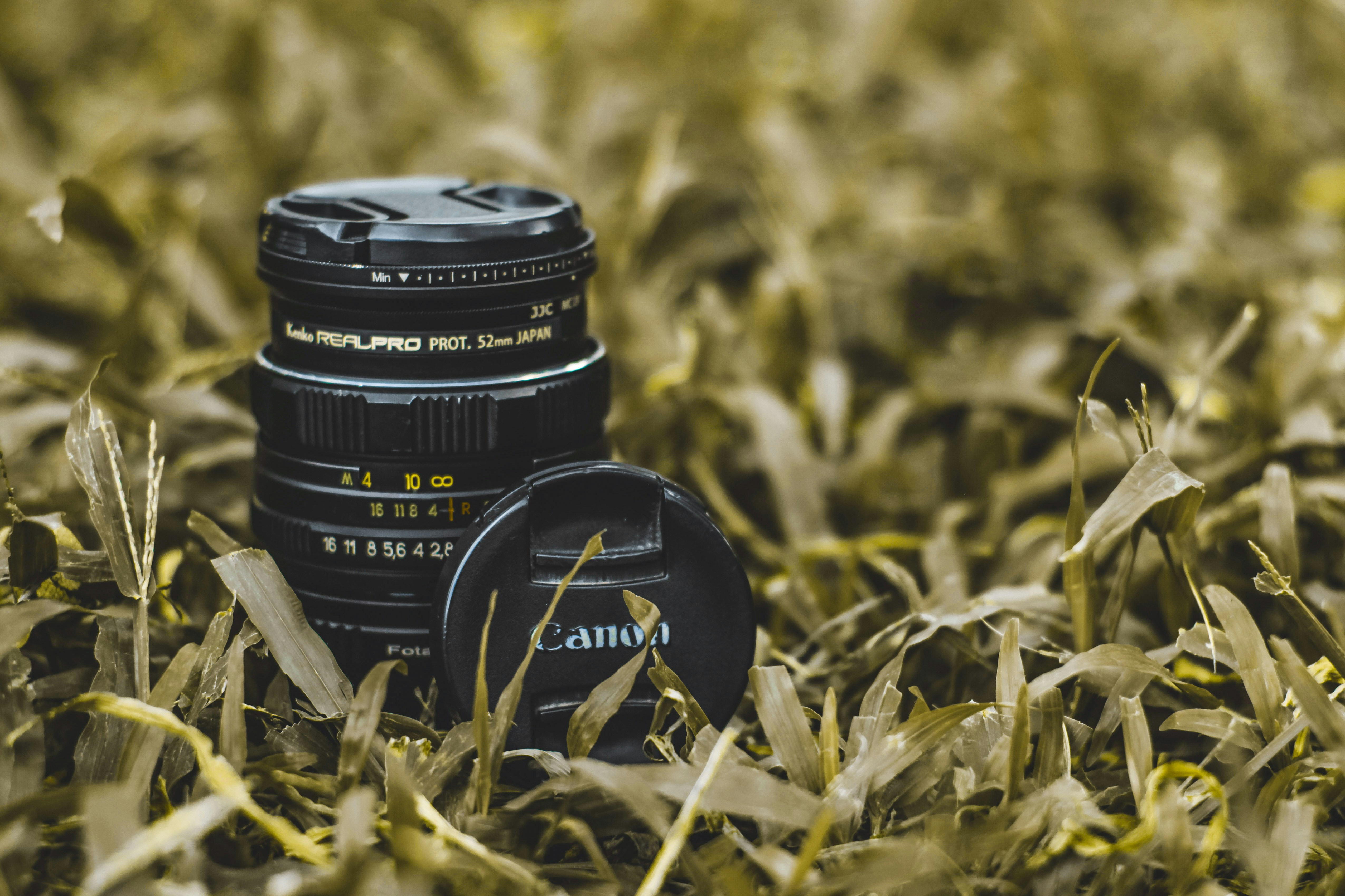 Canon Lens Resting Among Golden Grass