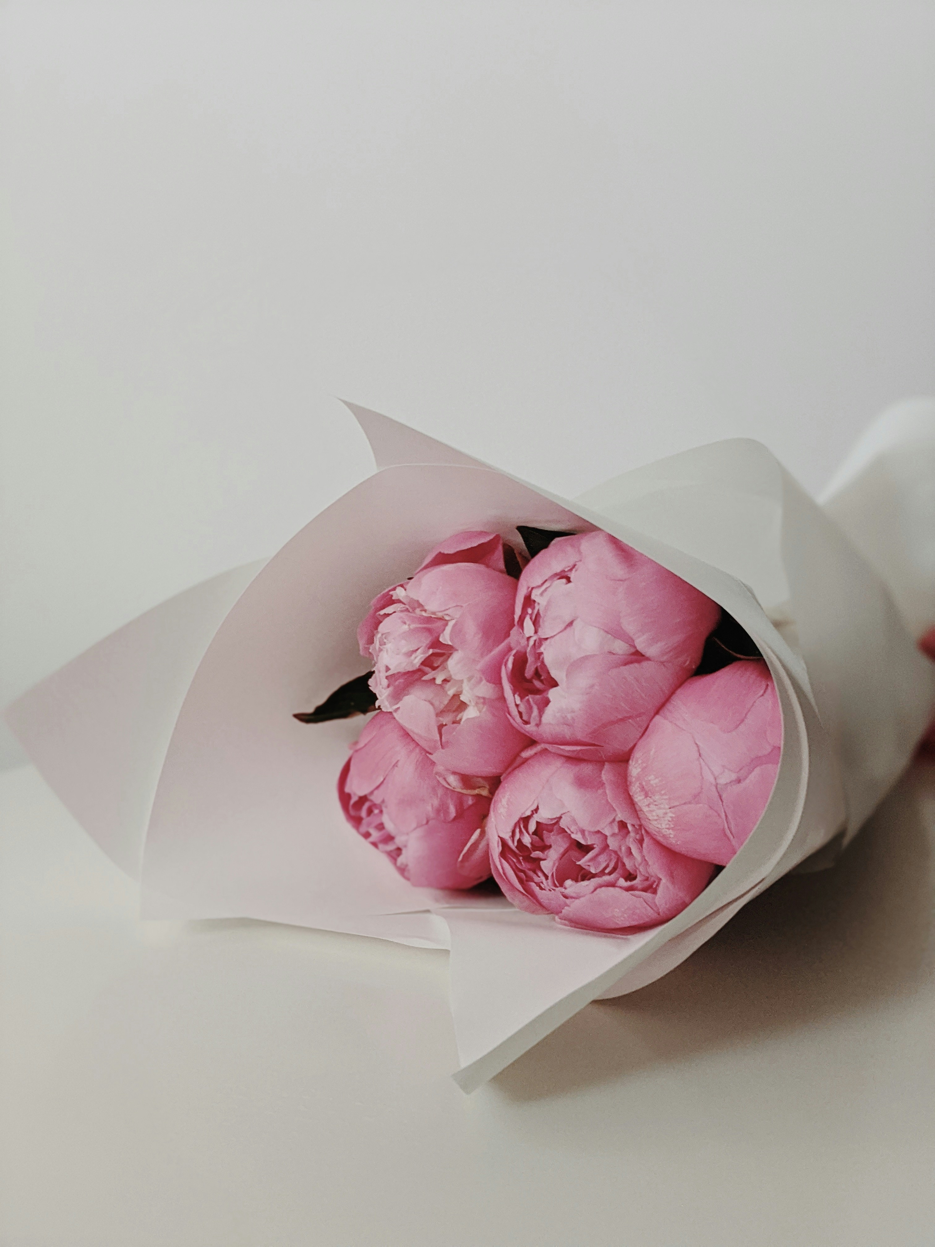 A bouquet of pink peonies elegantly wrapped in white paper, showcasing their soft petals and vibrant color. Perfect for a spring celebration.