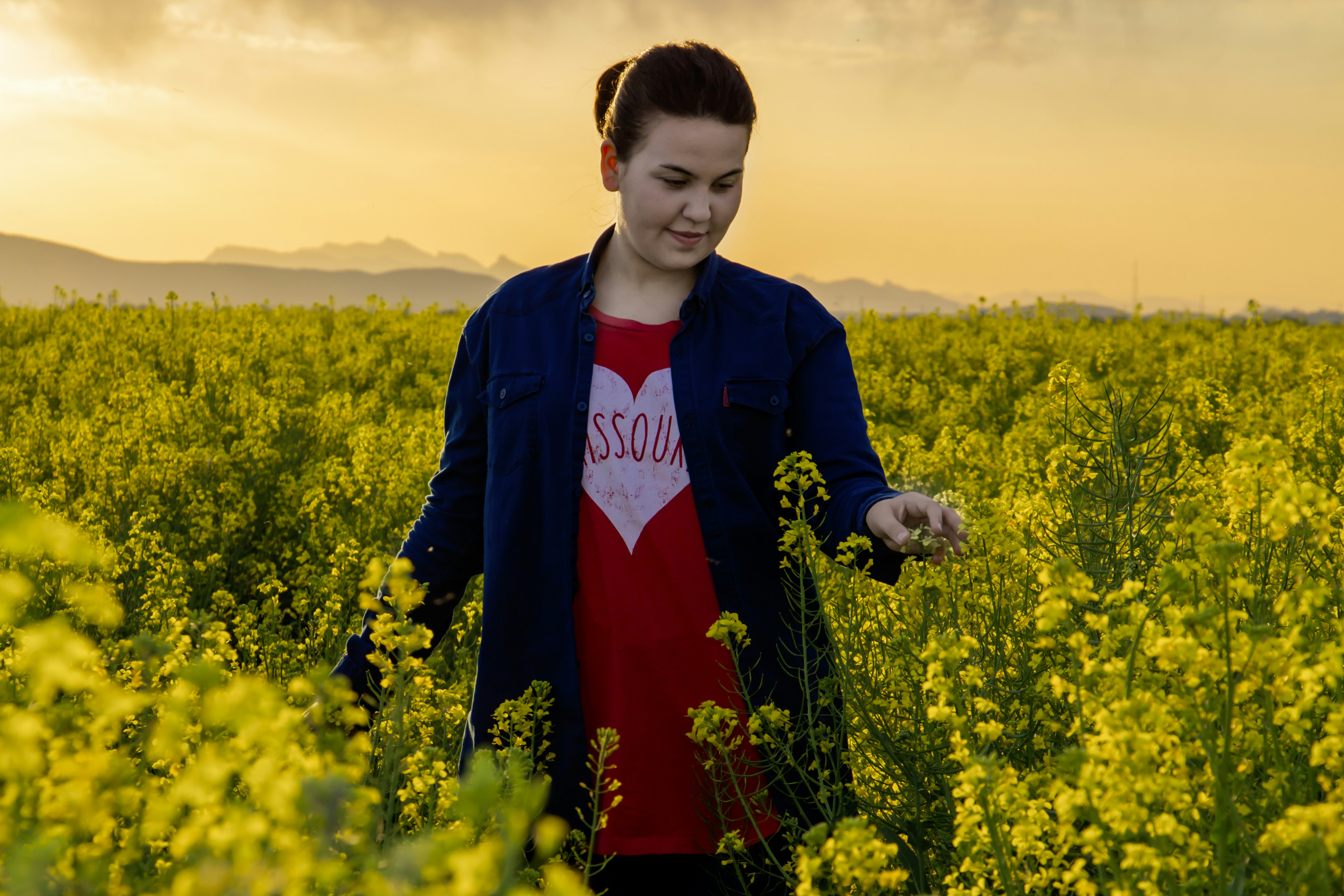 Young woman gently touching flowers in a vibrant yellow field during sunset.