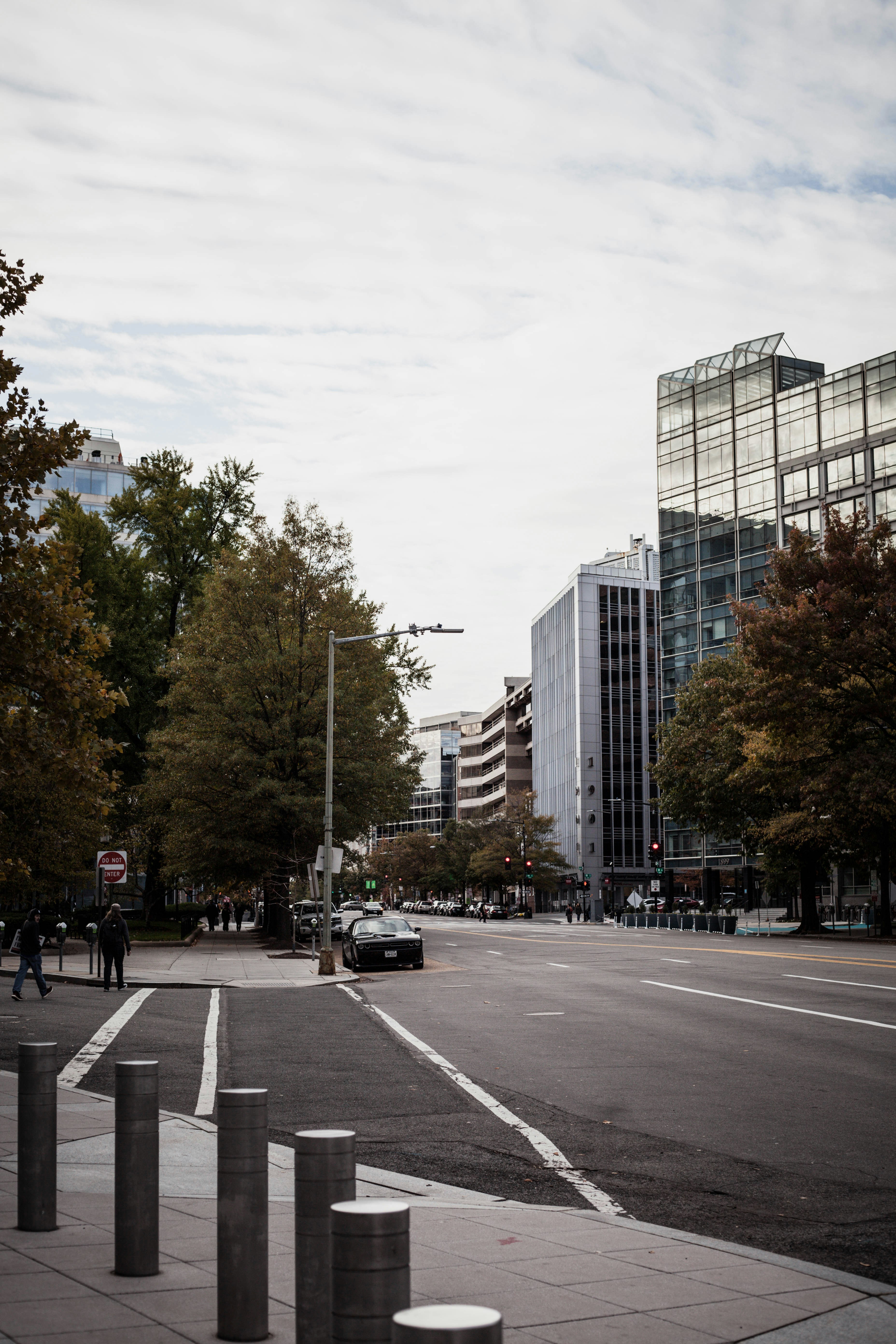 A bustling city street lined with trees and modern buildings under an overcast sky. The scene captures the blend of urban life and nature’s tranquility.