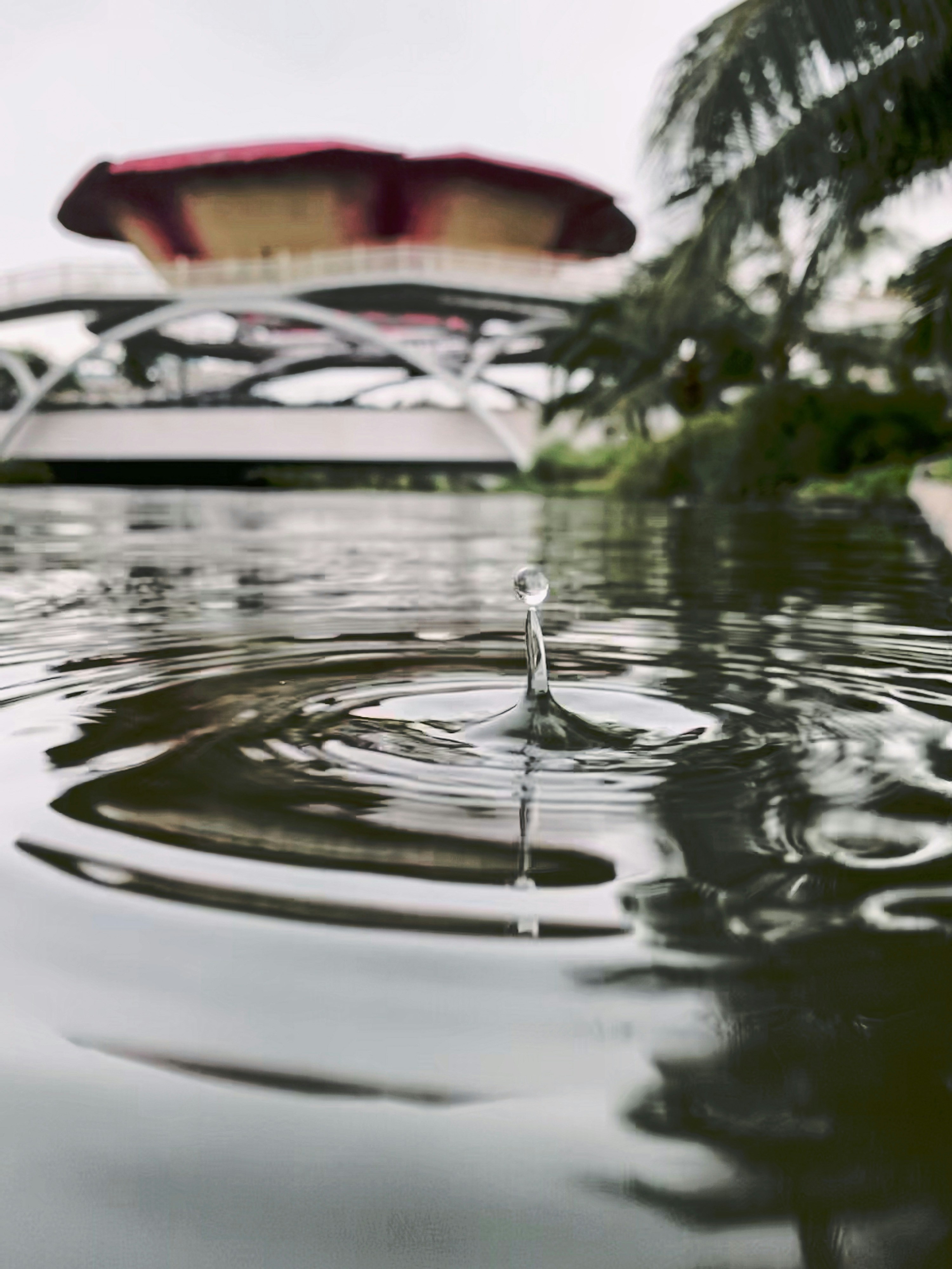 Ripple Crown: A Droplet Pause Over Calm Waters