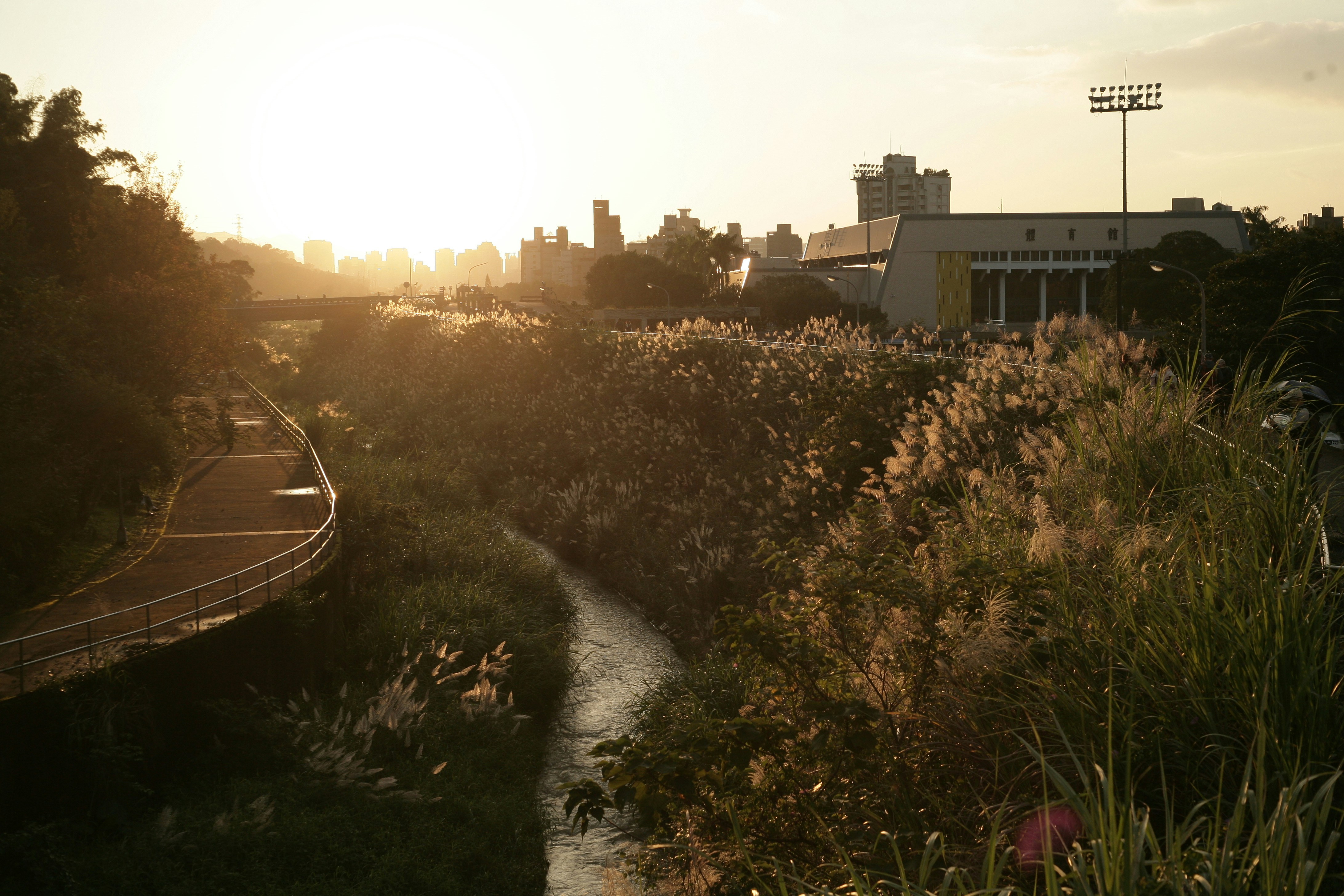 Pathway facing body of water and building photo – Free Green Image on ...