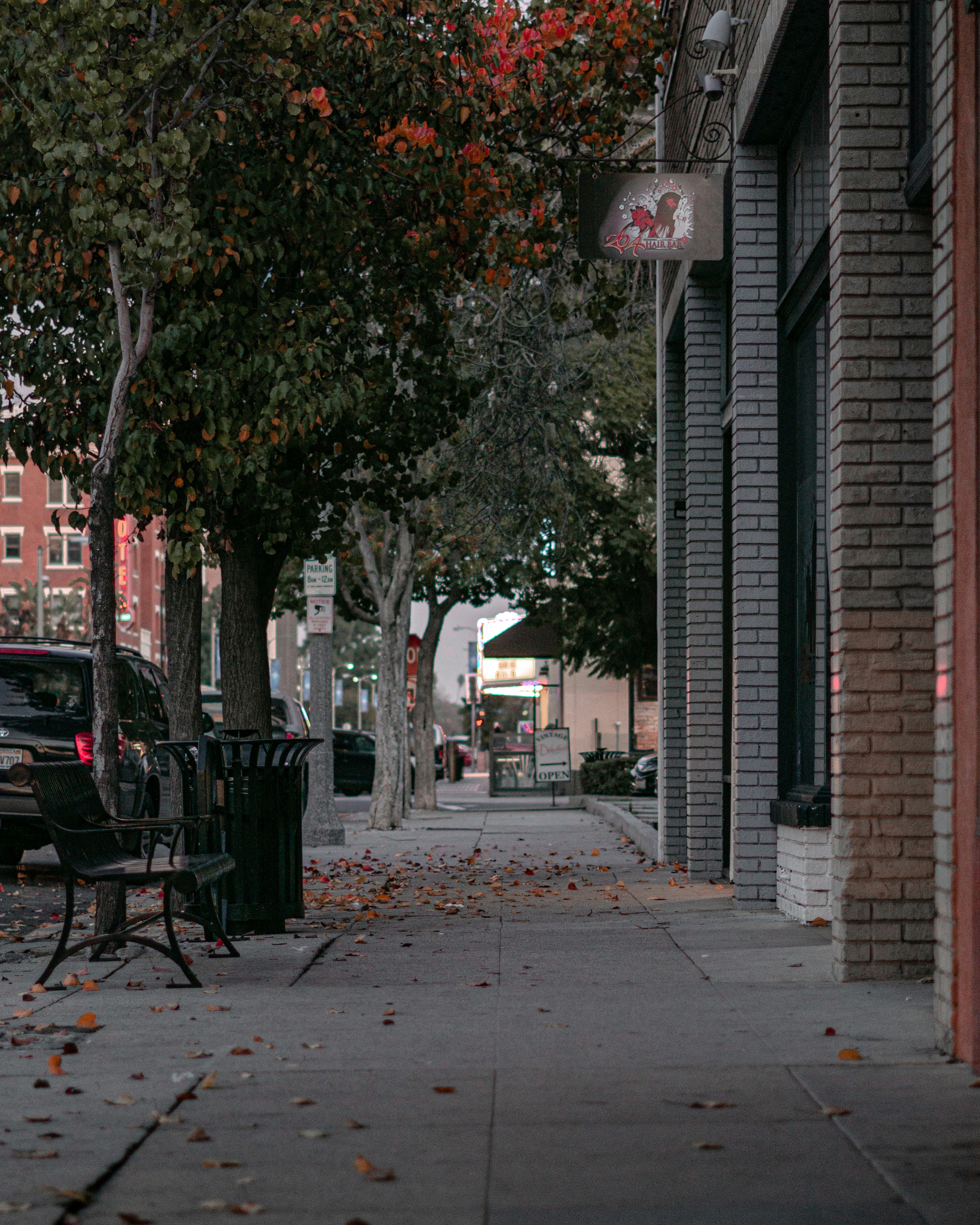 Quiet city sidewalk lined with trees showing autumn foliage.