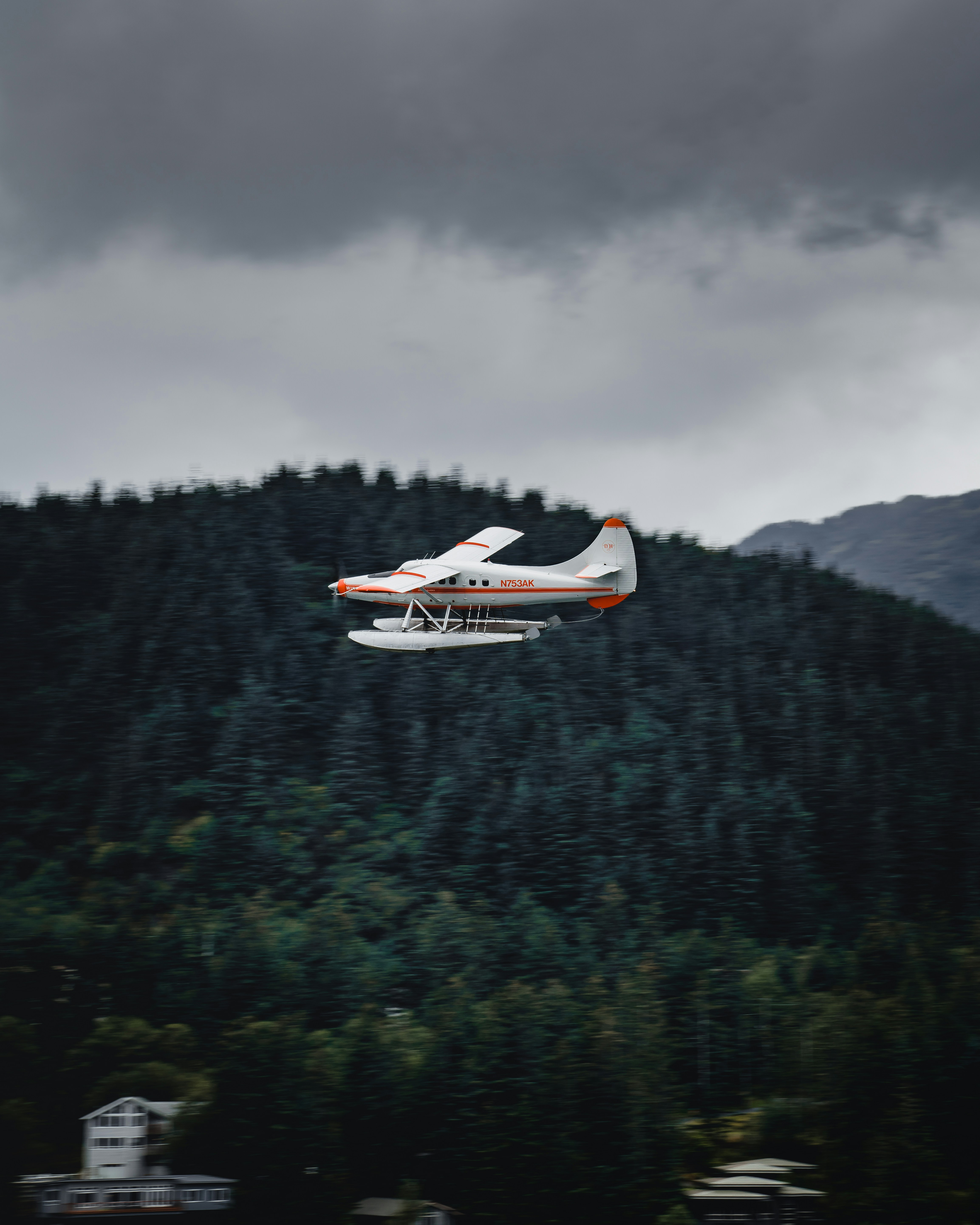 Seaplane Skims a Misty Evergreen Valley Under Overcast Skies