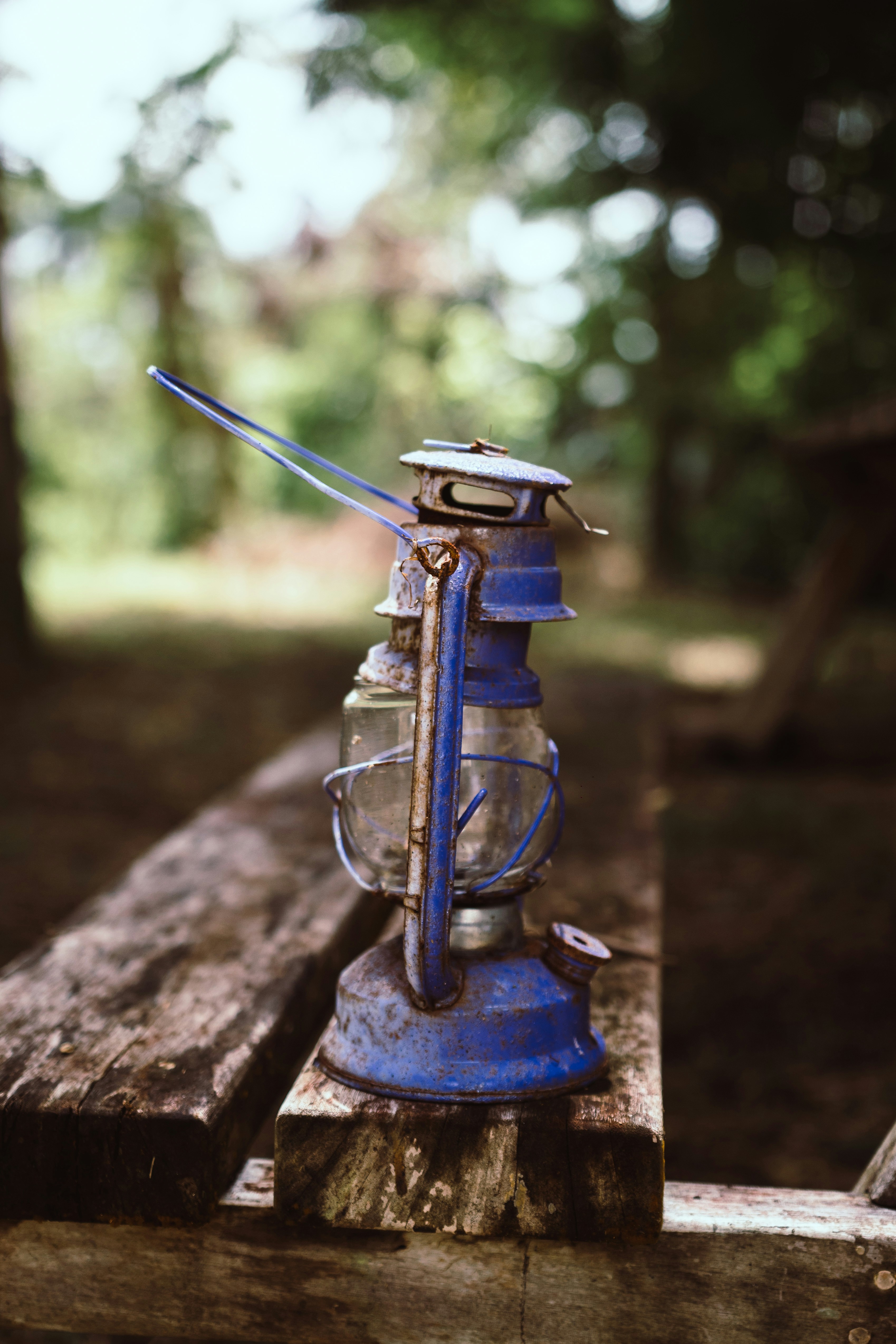 Cerulean Lantern on Weathered Wood in a Sunlit Clearing