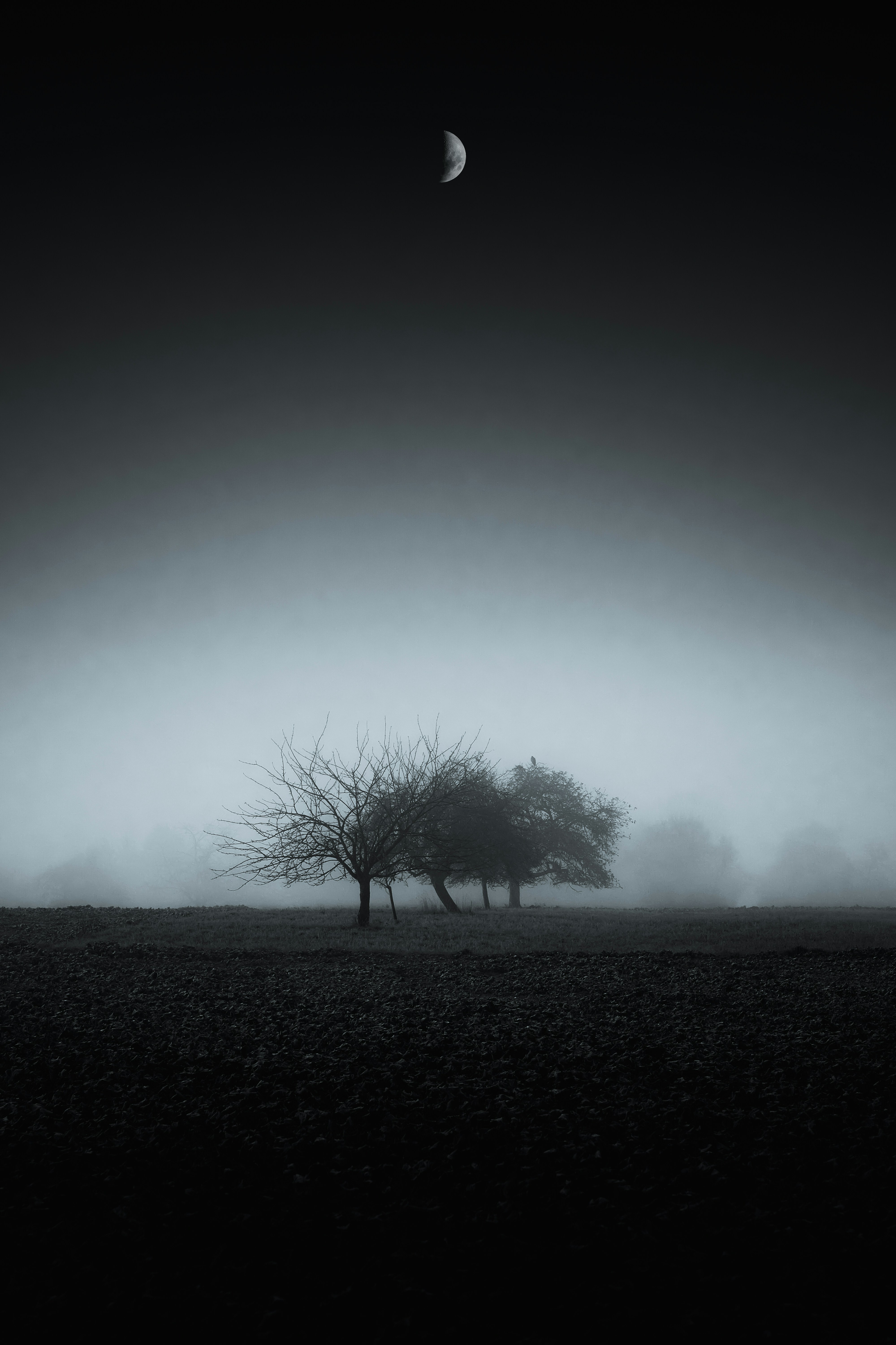 Dark Aesthetic | 100+ best free photos on Unsplash