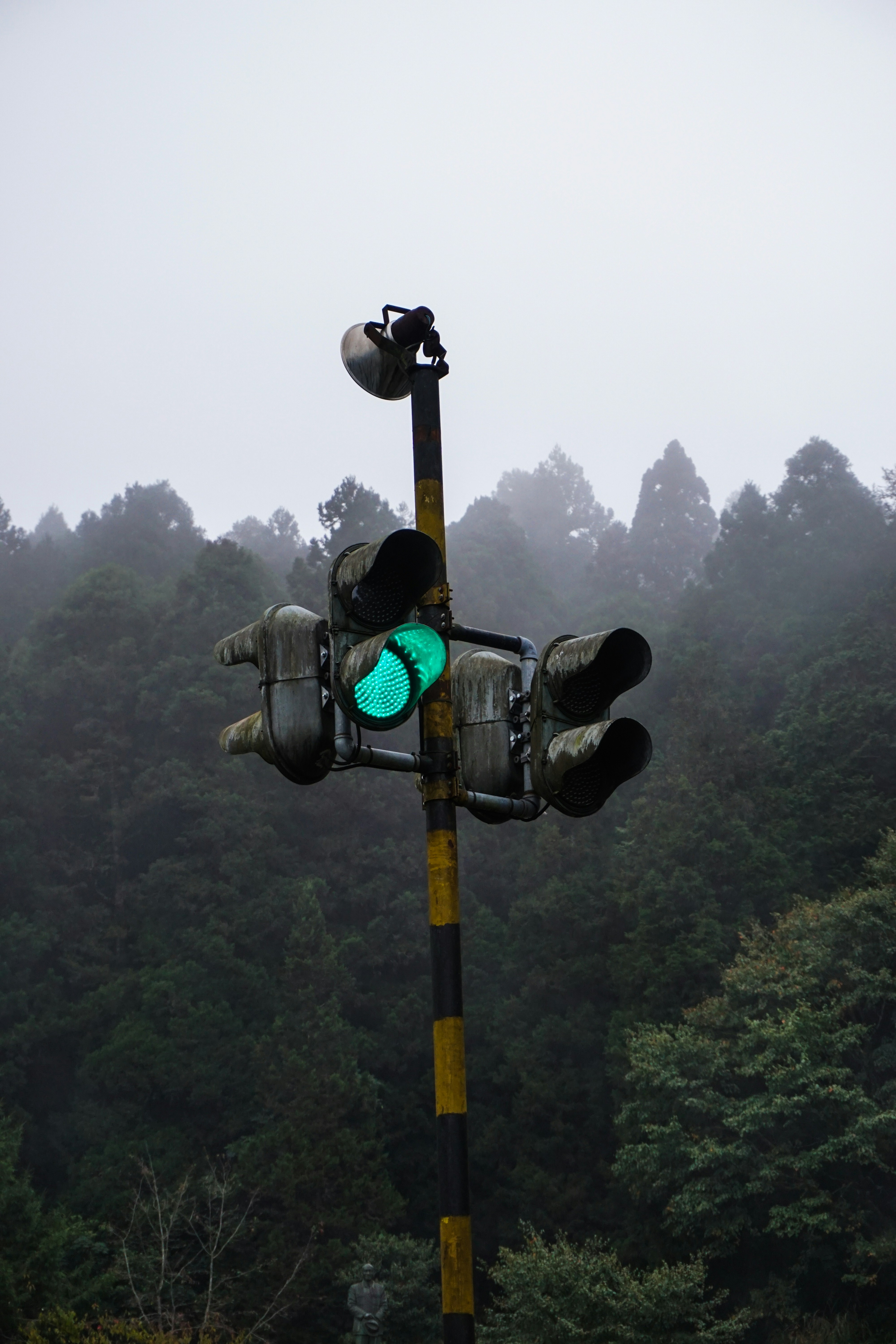 Emerald Signal in the Mist