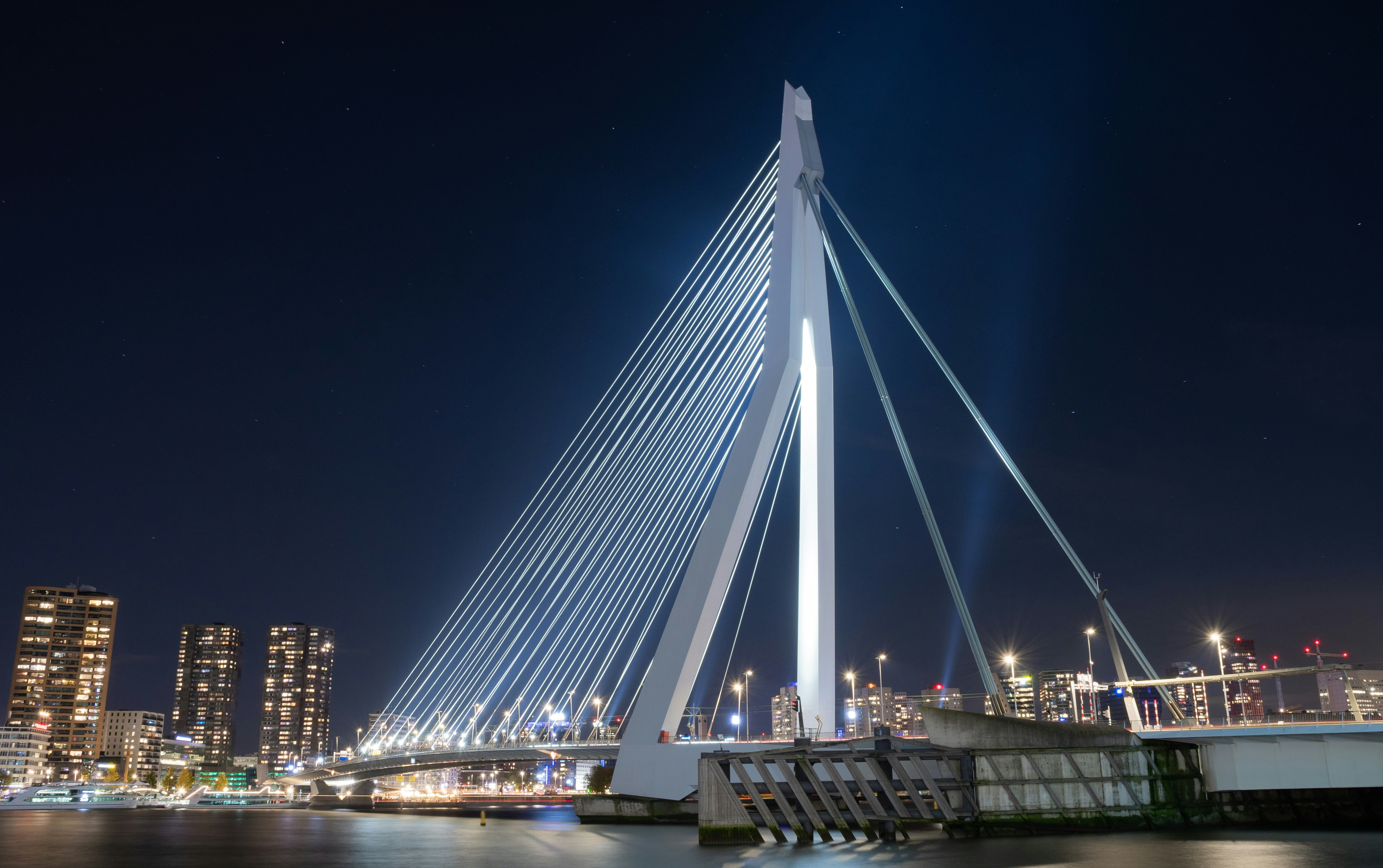 Luminescent Spine: Night Portrait of Rotterdam's Cable-Stayed Bridge