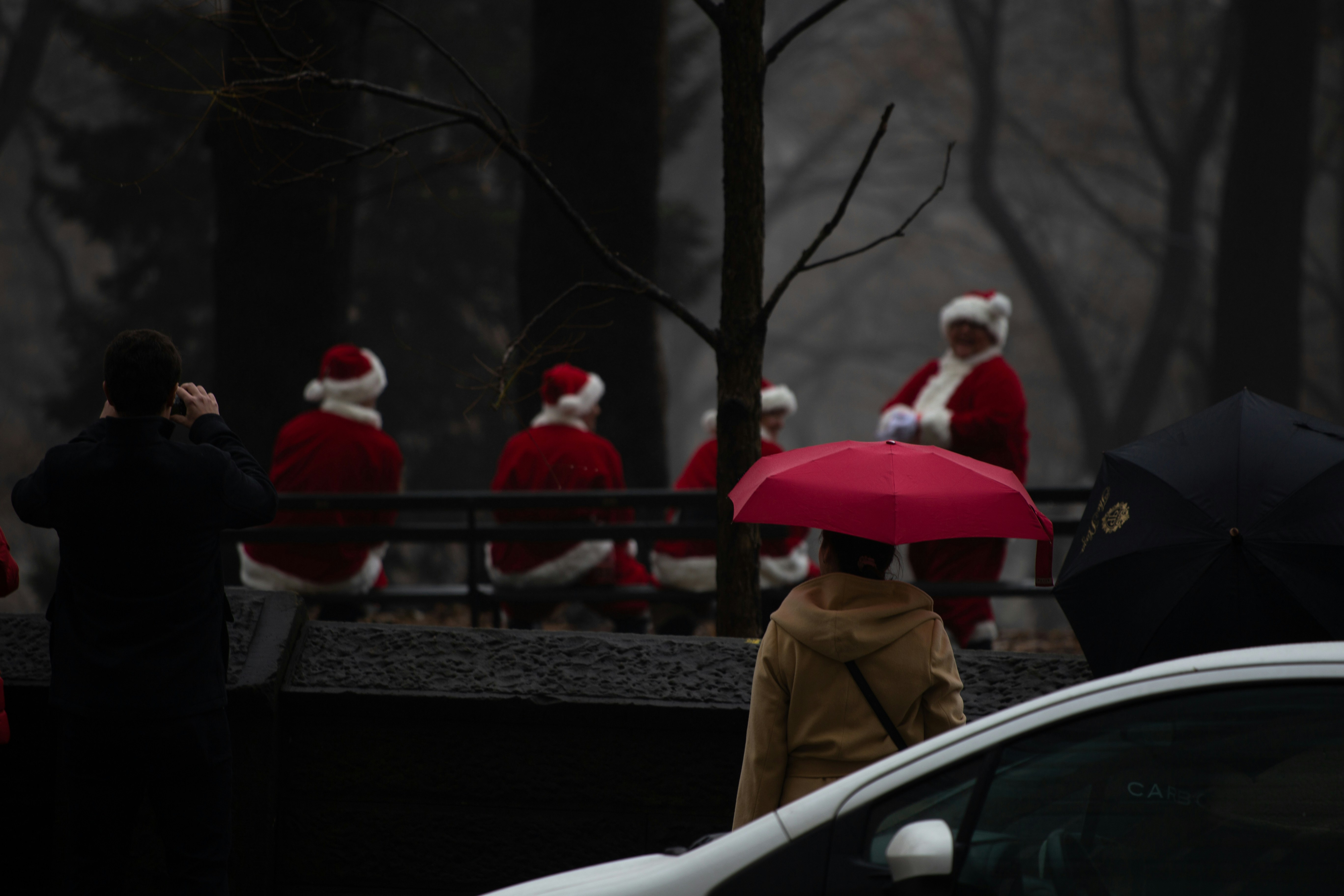 Scarlet Umbrella and Santa Line in a Drizzly Park