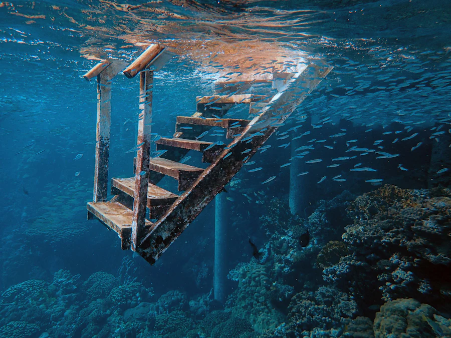 A rusted staircase descends into clear blue water above a coral reef, with small fish drifting around it. Sunlight ripples across the surface overhead.