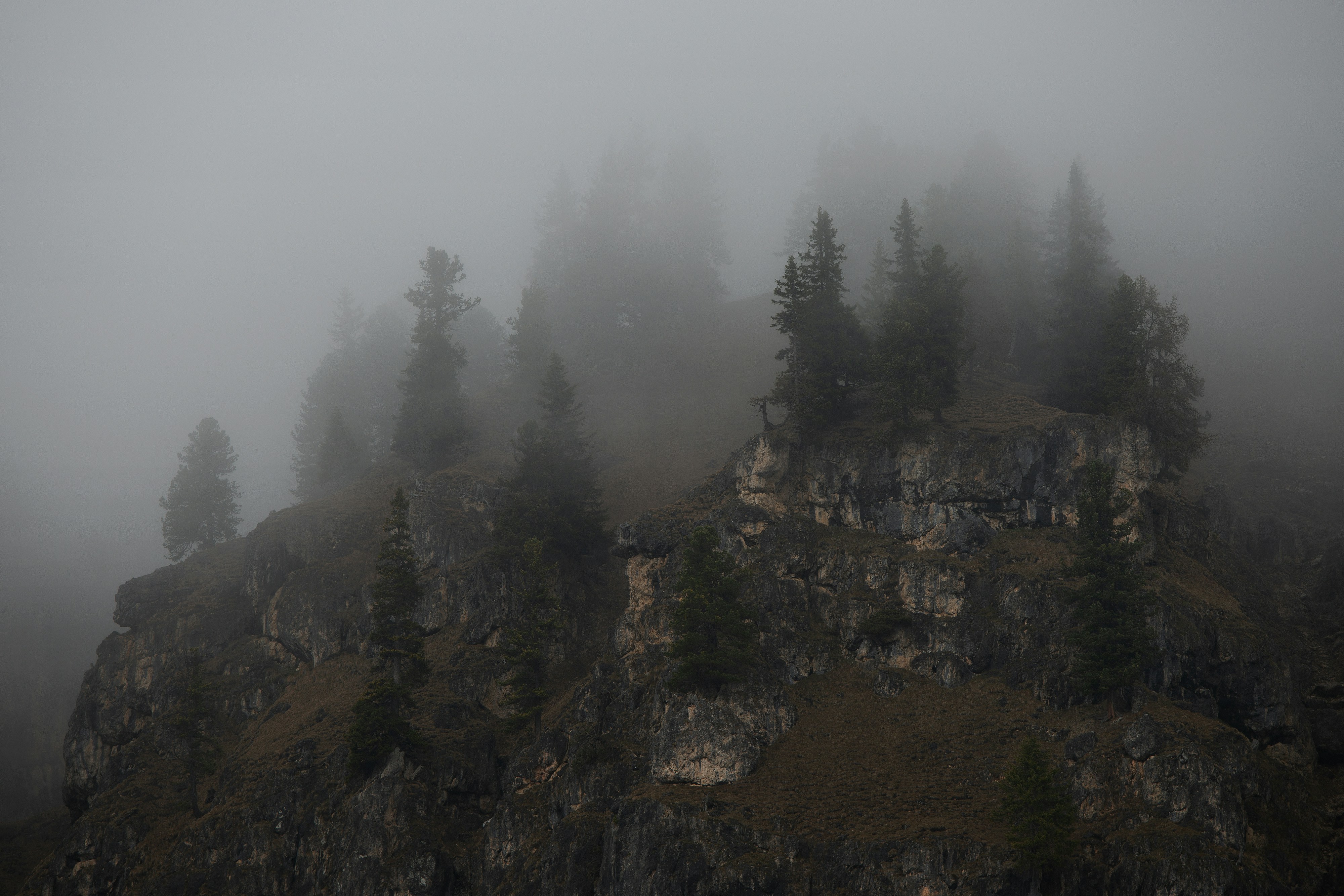 Foto Una montaña brumosa con árboles en la cima – Imagen Gris gratis en ...