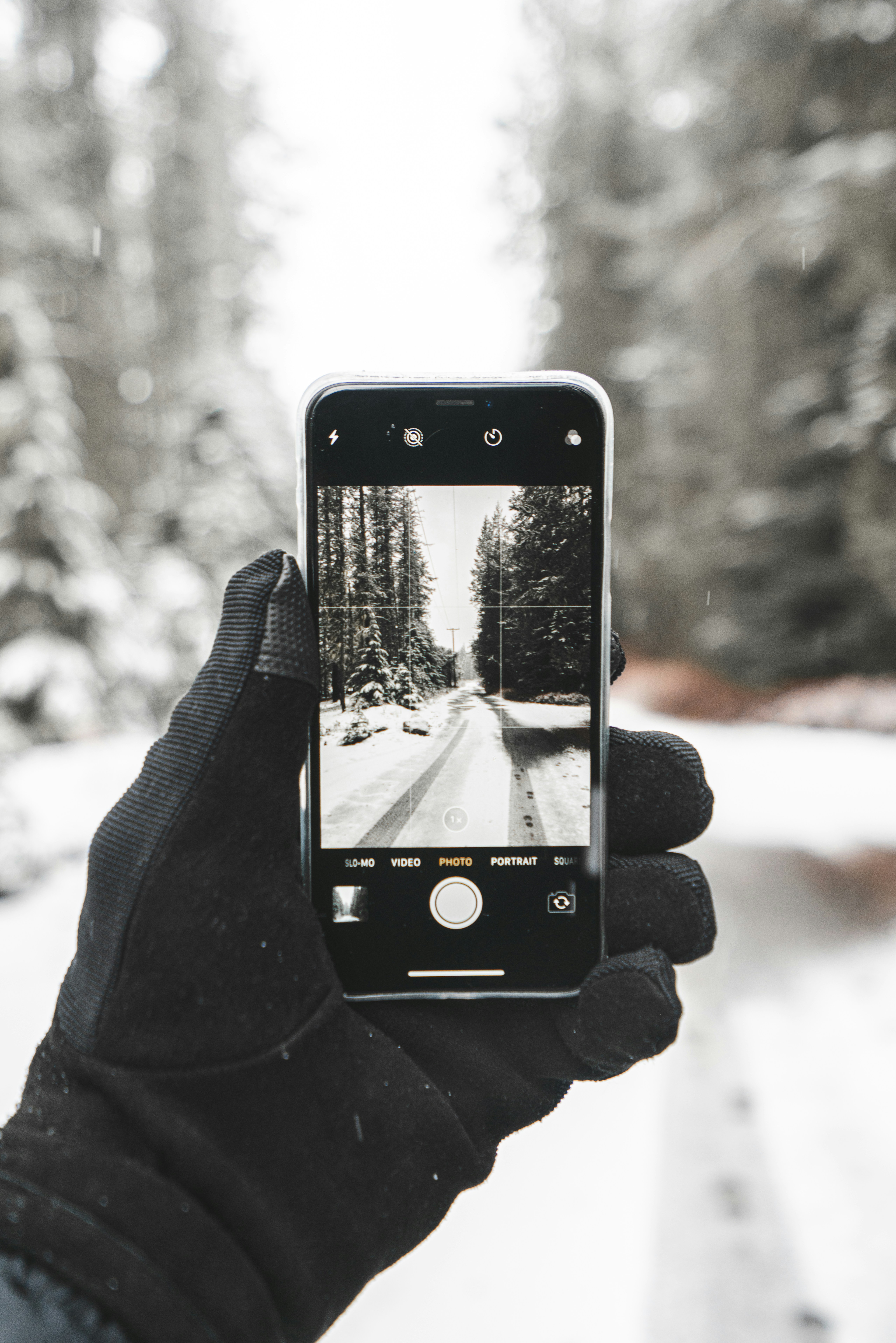 Person taking picture of snowy way photo – Free Human Image on Unsplash