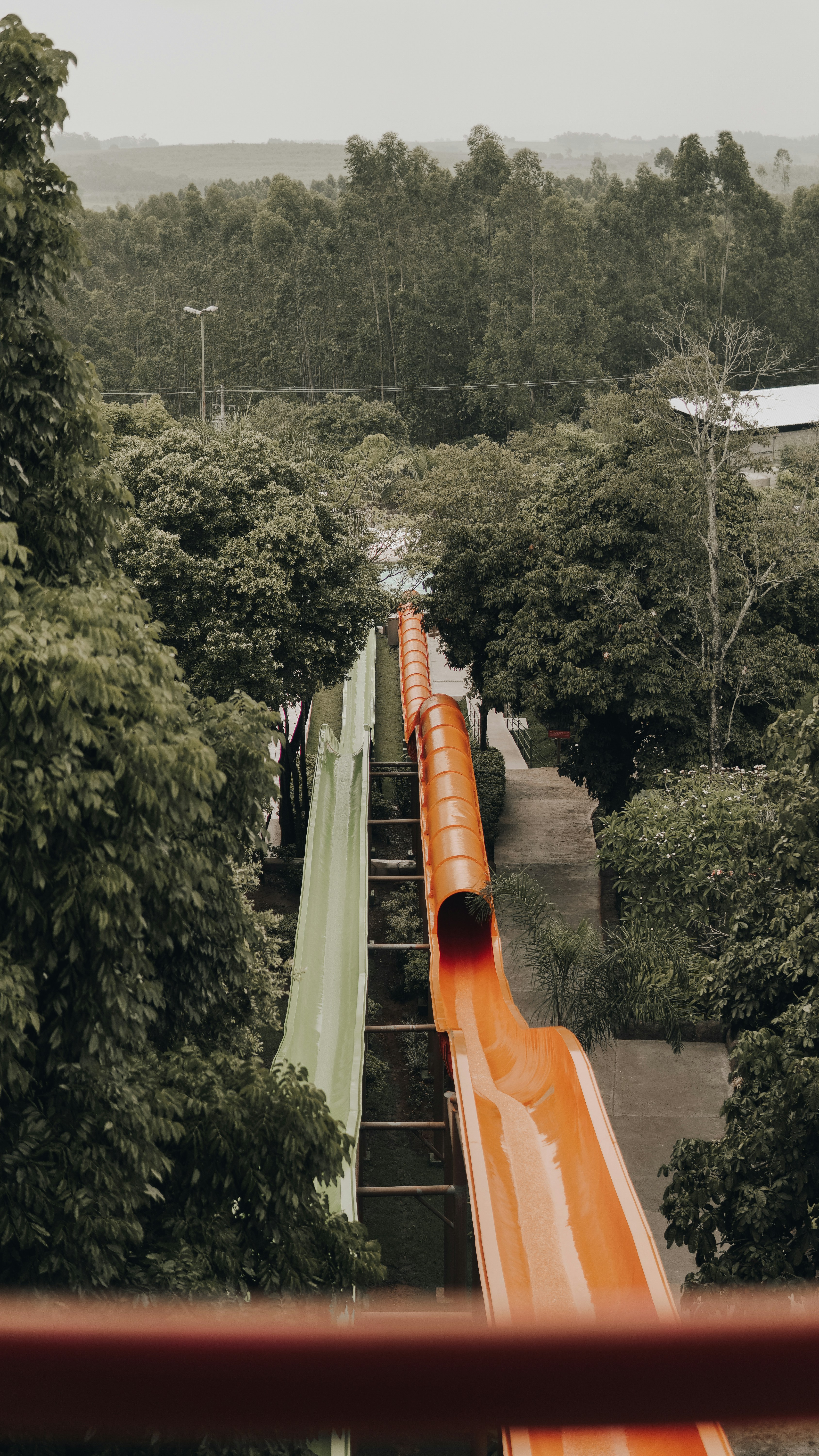 Orange Tube Descent Winding Through a Verdant Canopy