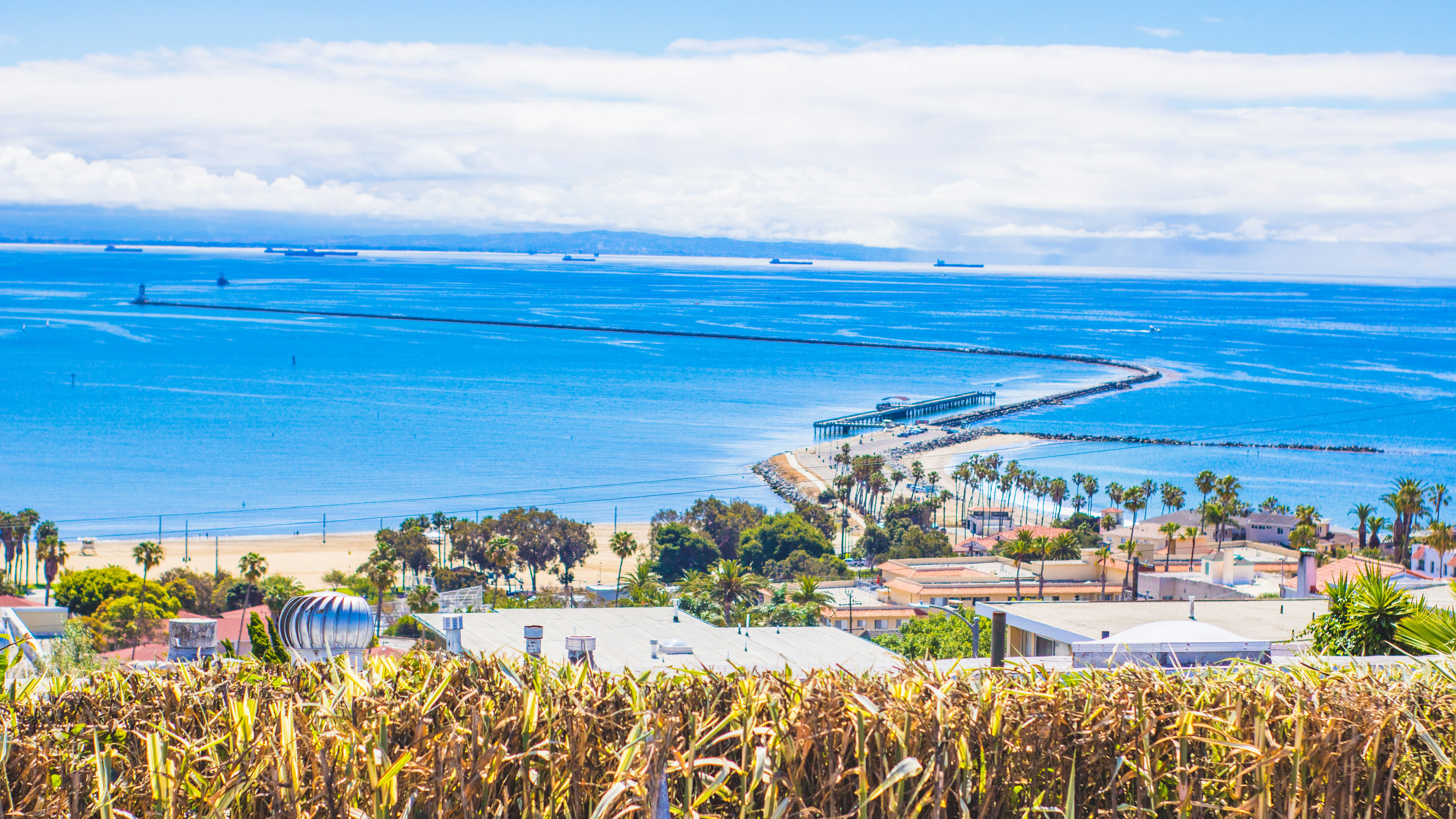 Ryan Anderson (@rnacinema) | Unsplash 사진 커뮤니티